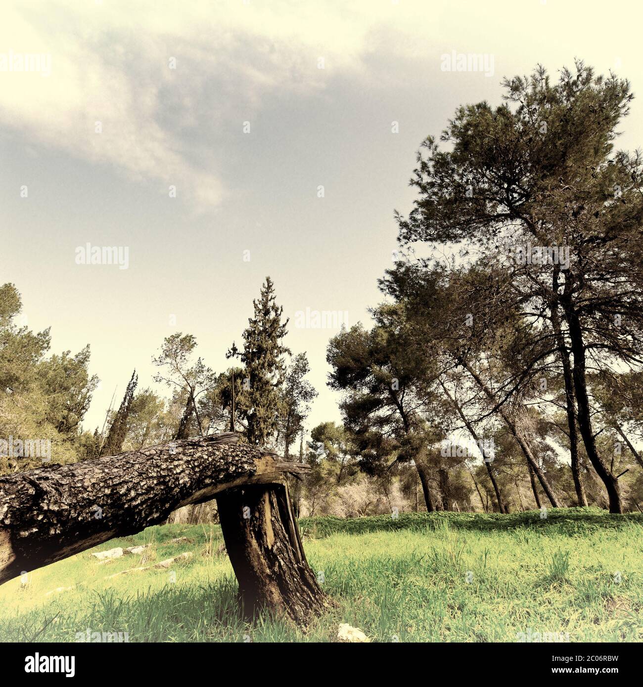 Broken ecosystem hi-res stock photography and images - Alamy