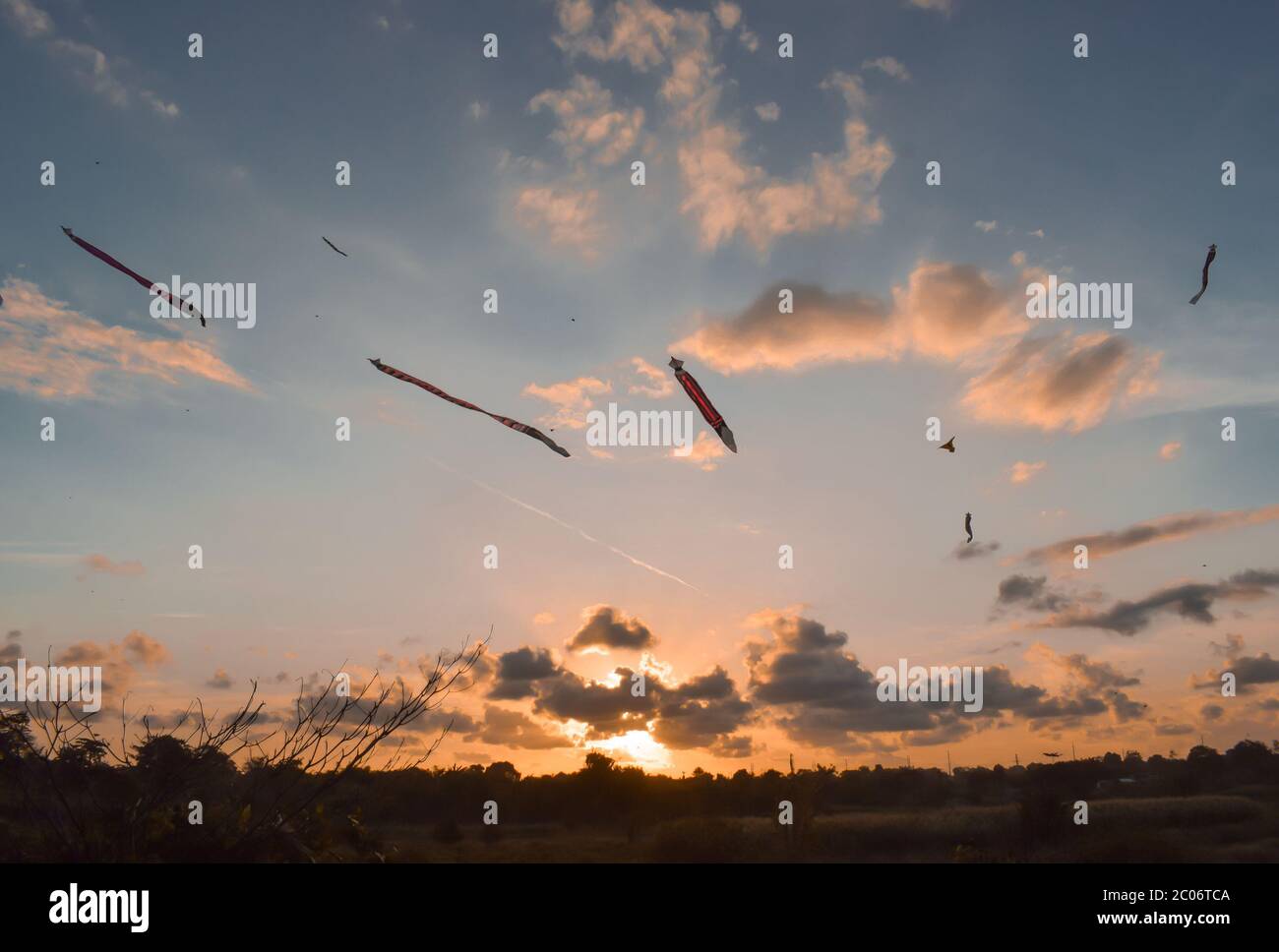 Kites In The Evening Sky