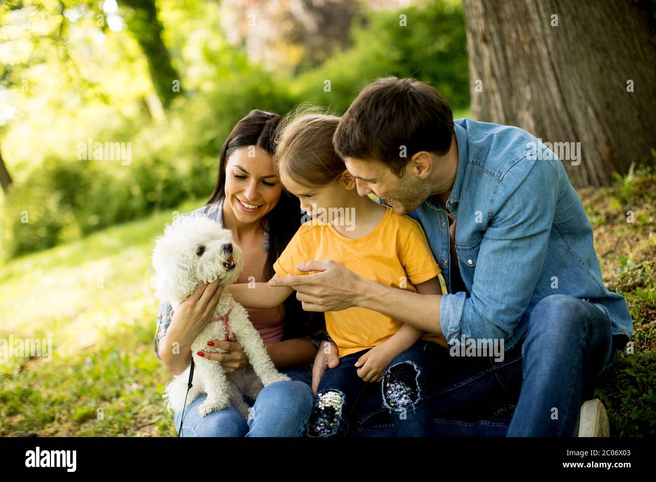 Bichon family hi-res stock photography and images - Alamy