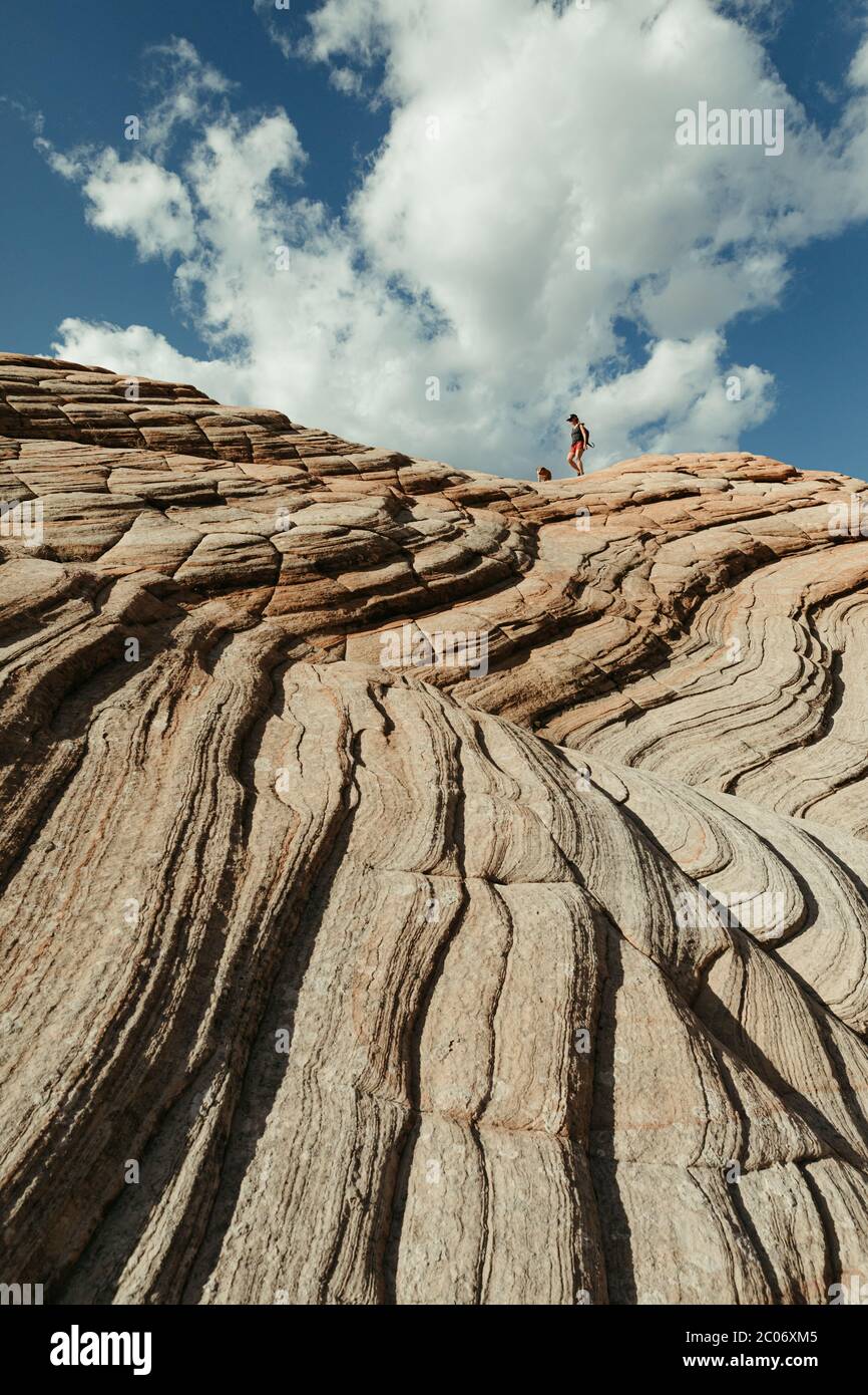 female hiker and dog walk the ridge line of red slick rock in utah ...
