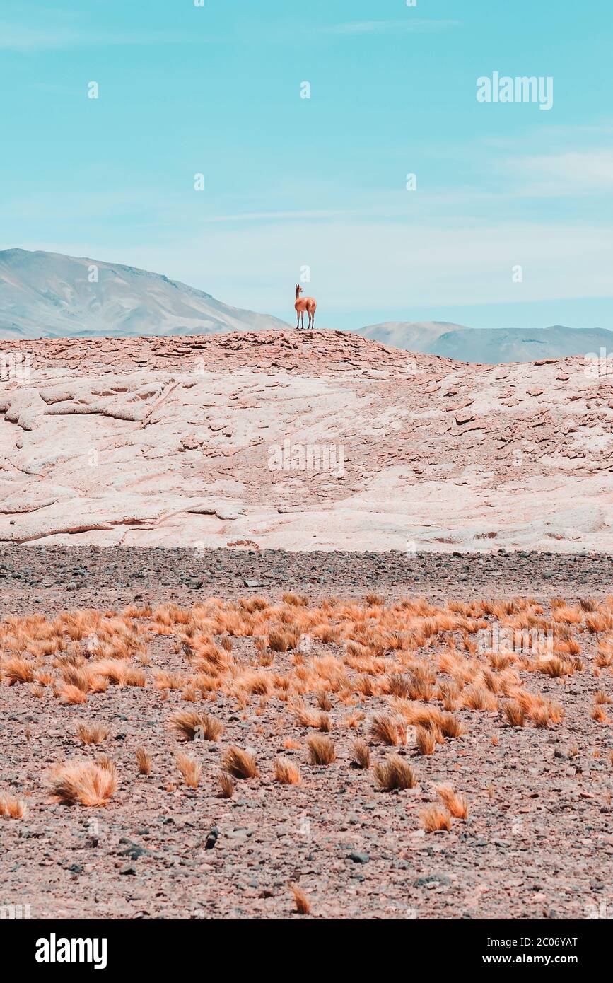 Andean culture hi-res stock photography and images - Alamy