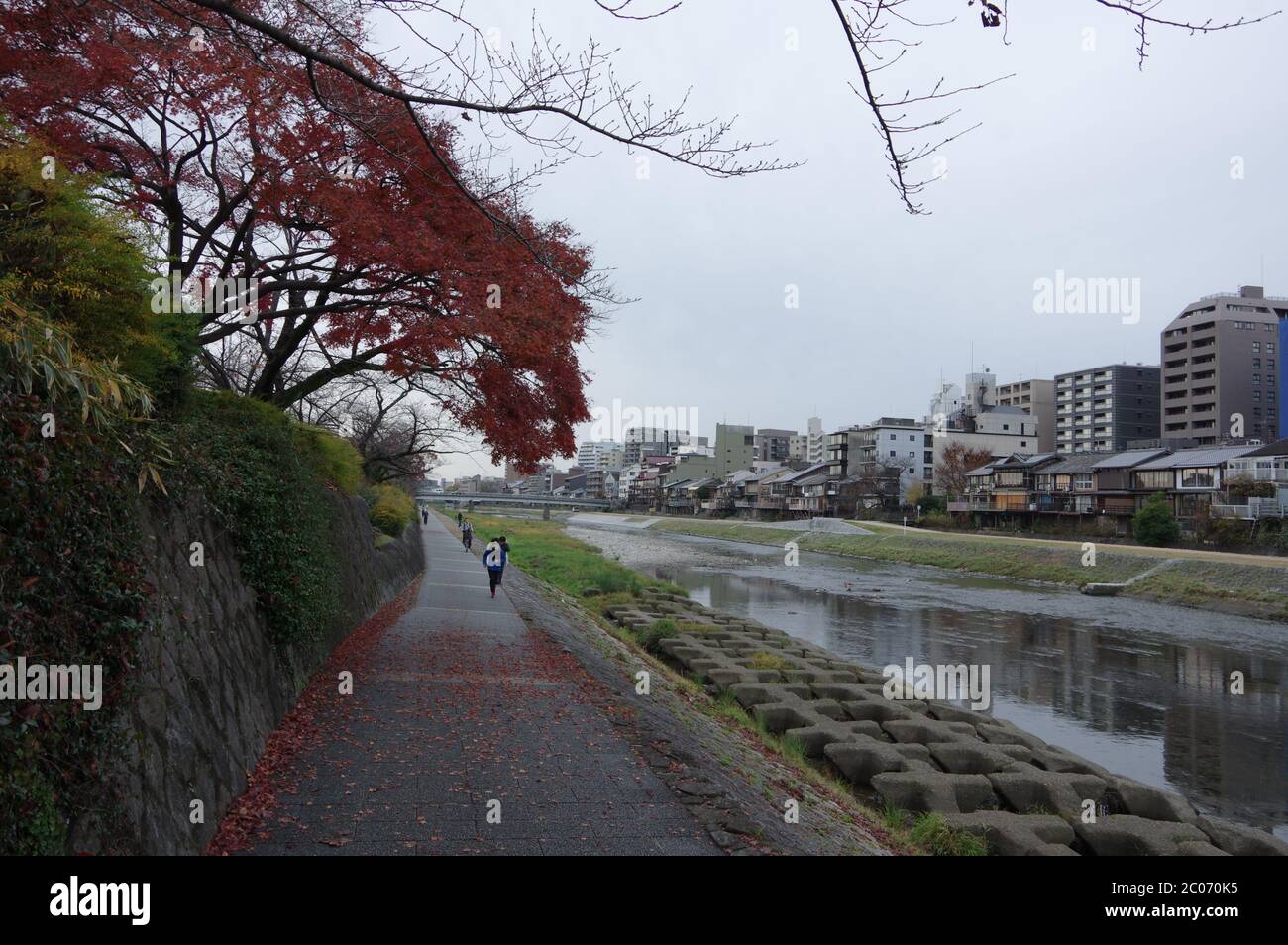 Kyoto, Japan - Dec 7, 2018: Riverside footpath near Kamo River Stock ...
