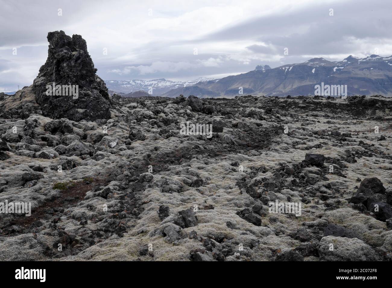 Iceland lava field covered with moss from volcano eruption Stock Photo ...