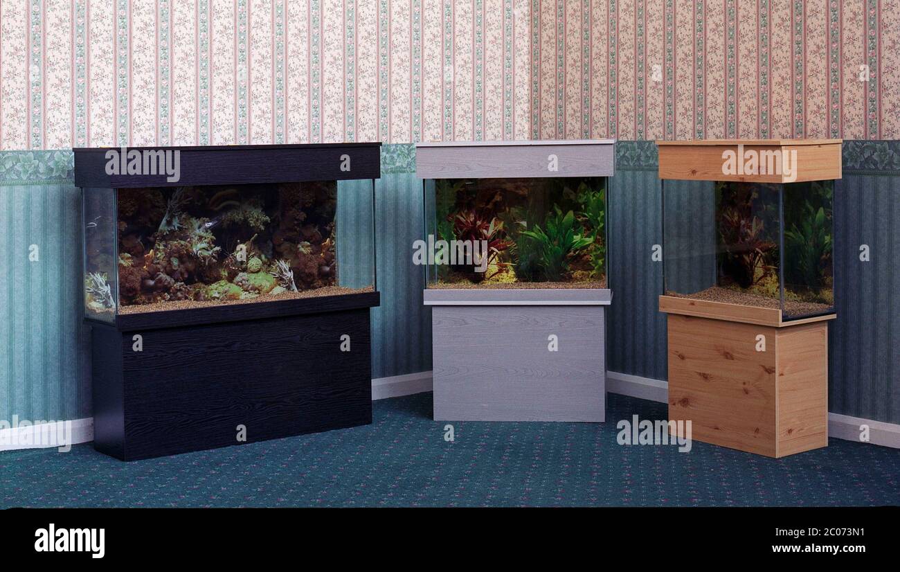 1990's domestic Fish Tanks, in Studio set, UK Stock Photo - Alamy