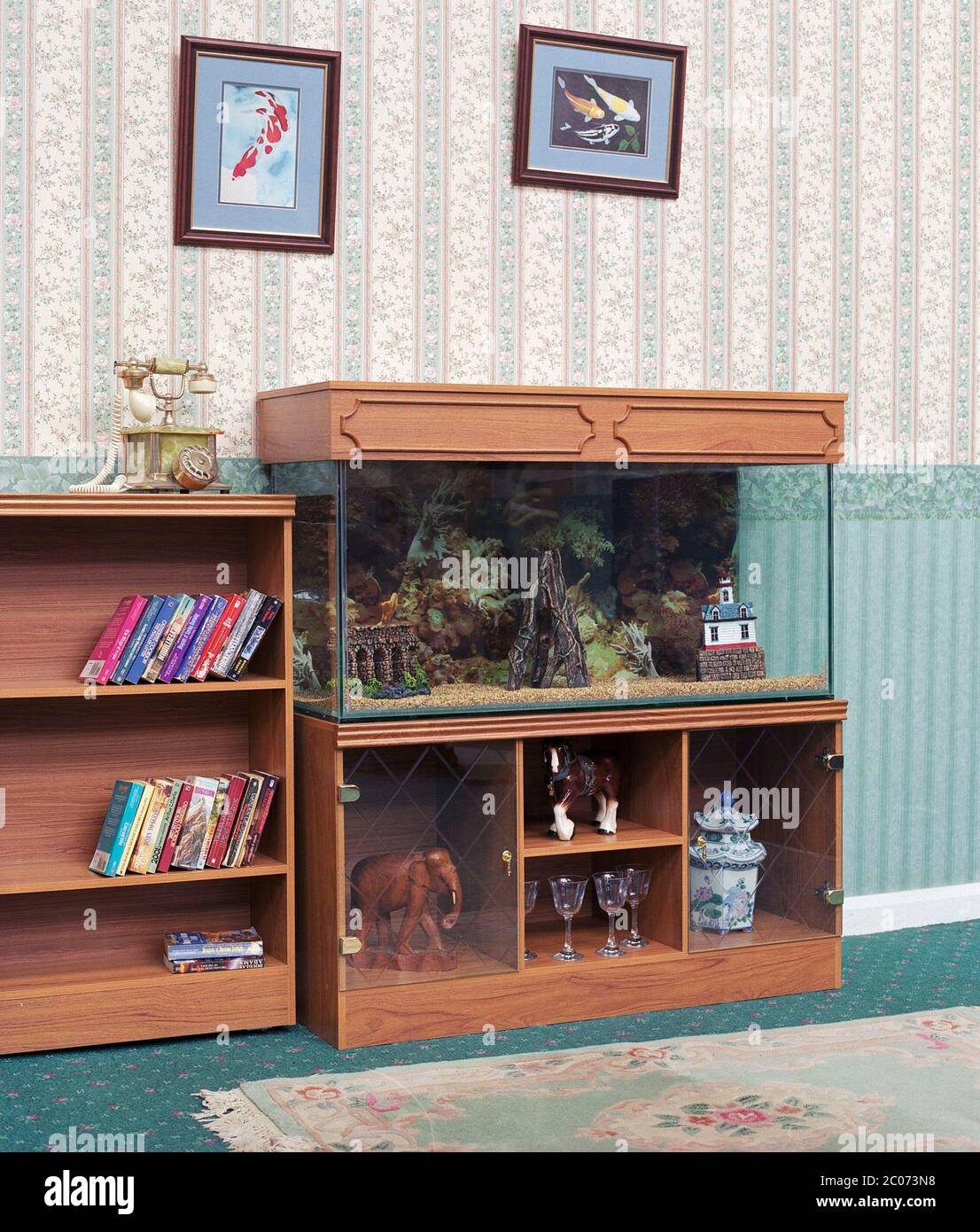 1990s domestic fish tanks hi-res stock photography and images - Alamy