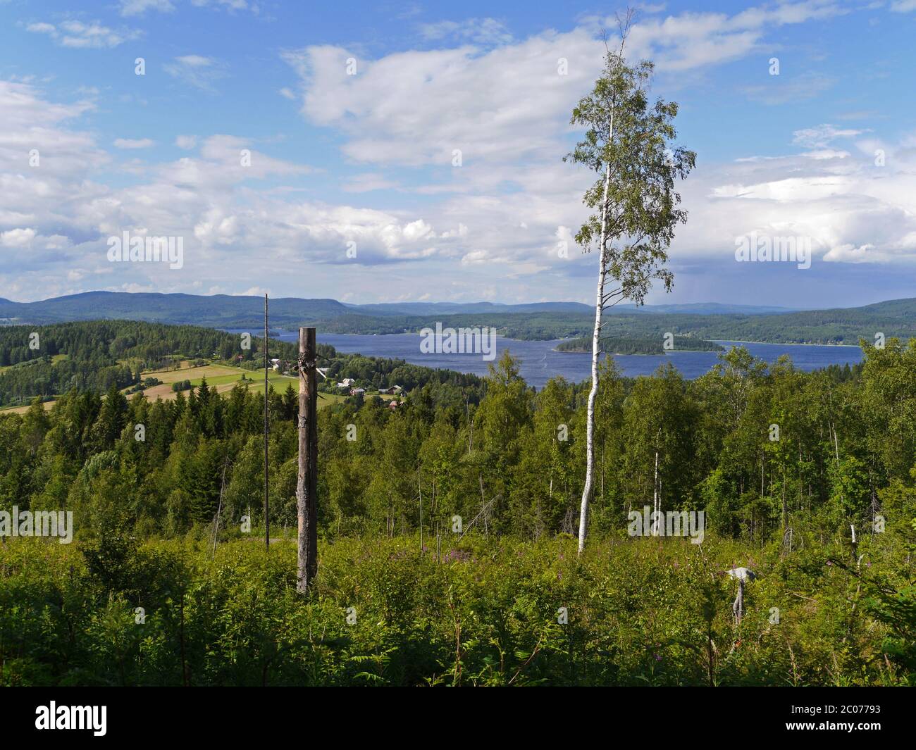 landscape at the high coast in sweden Stock Photo - Alamy