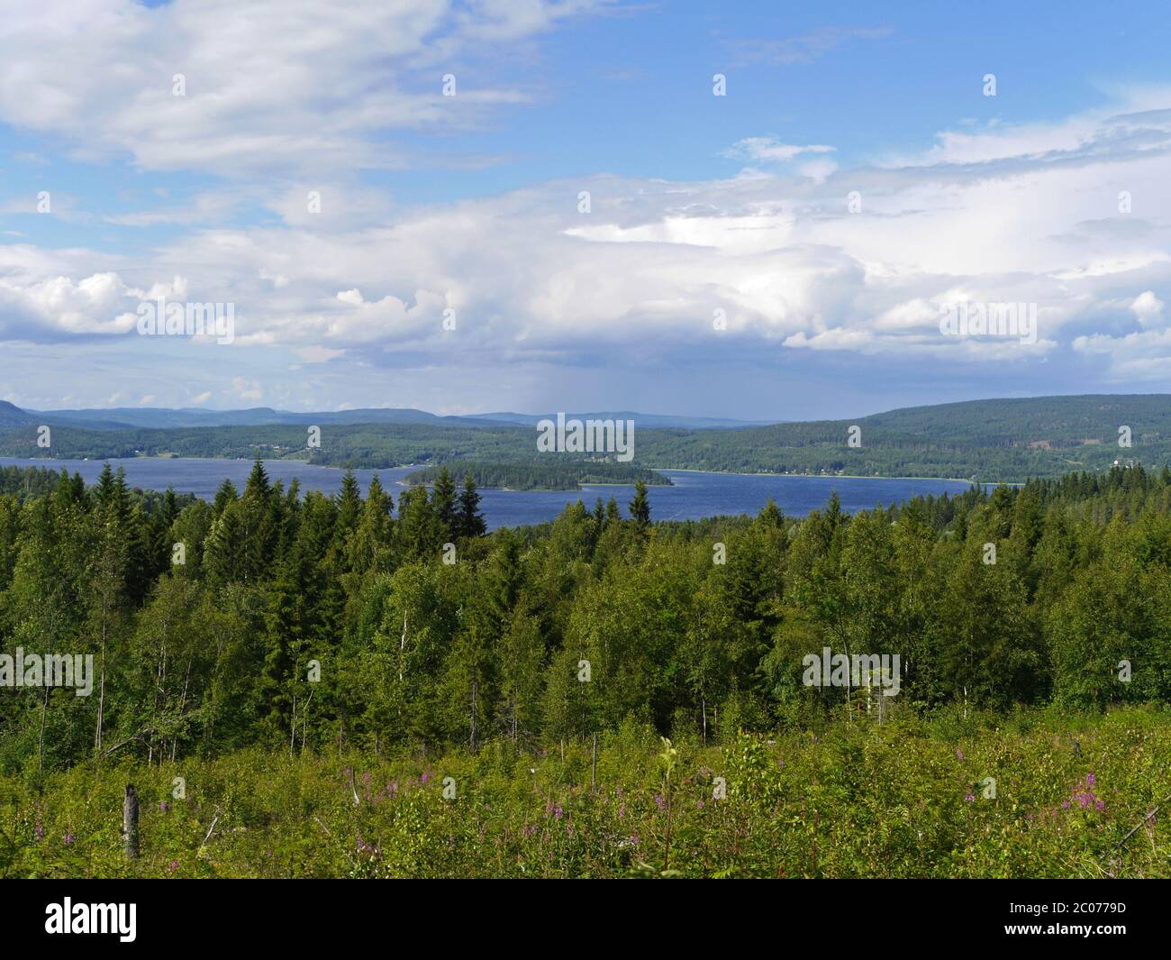 landscape at the high coast in sweden Stock Photo - Alamy