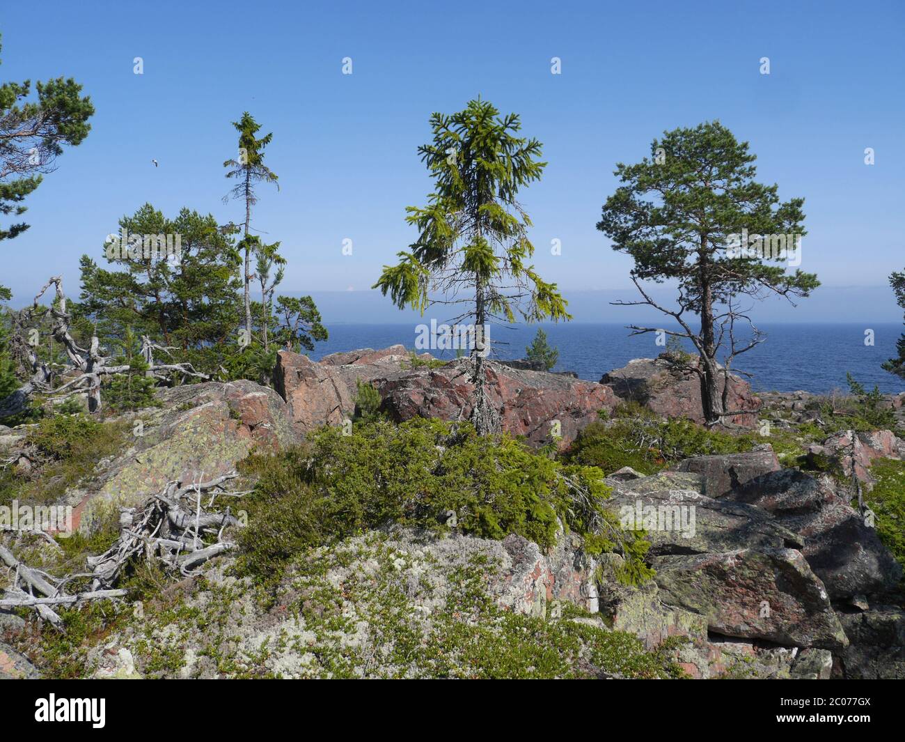 Norrfallsviken hi-res stock photography and images - Alamy