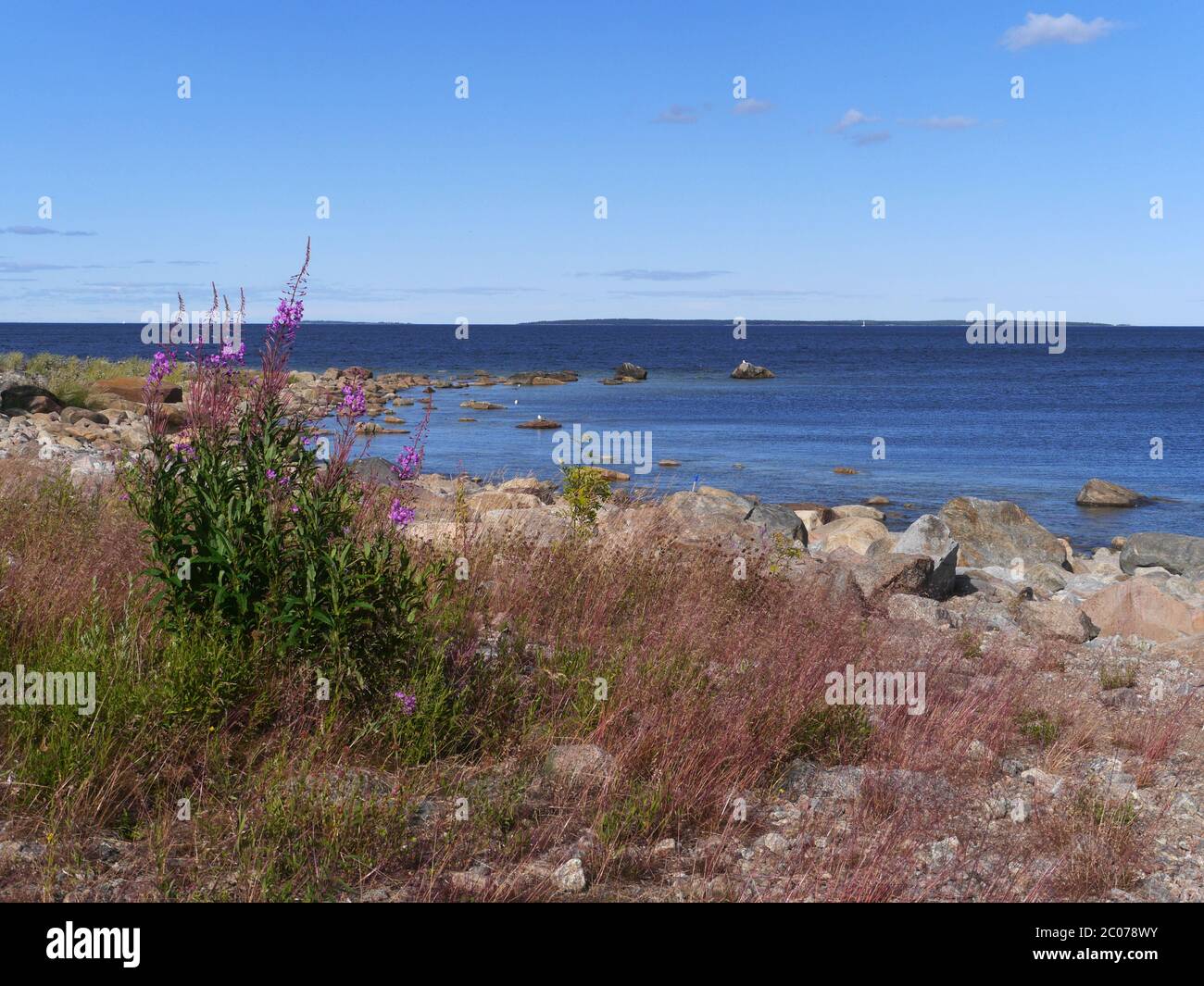 coastal landscape in sweden Stock Photo - Alamy