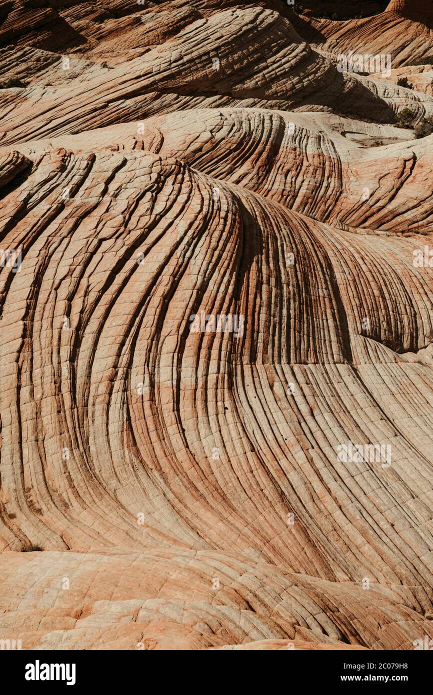 waves of pattern on petrified red rock sand dunes in southern utah ...