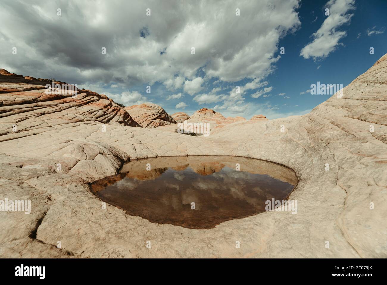 post rain puddle and reflection of red rock petrified sand dunes Stock ...