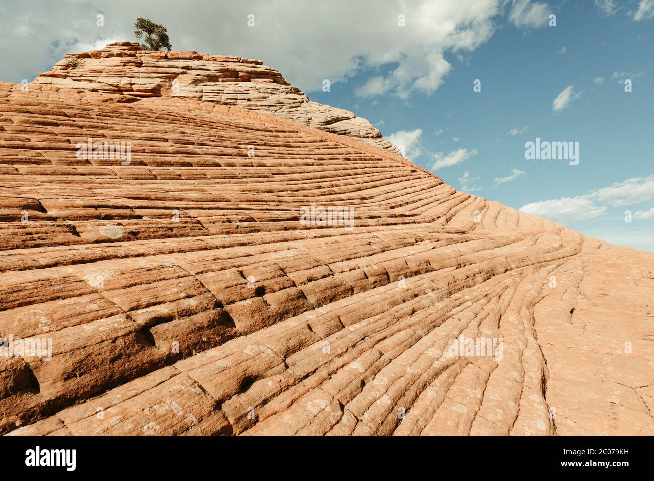 Repeated lines as texture hi-res stock photography and images - Alamy
