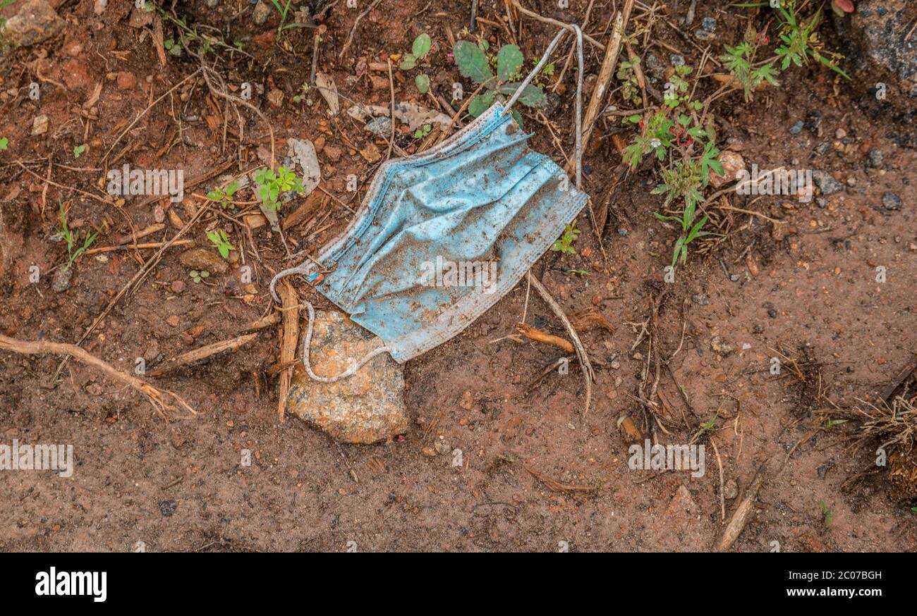 A used and discarded face mask dumped on the ground outdoors laying in ...