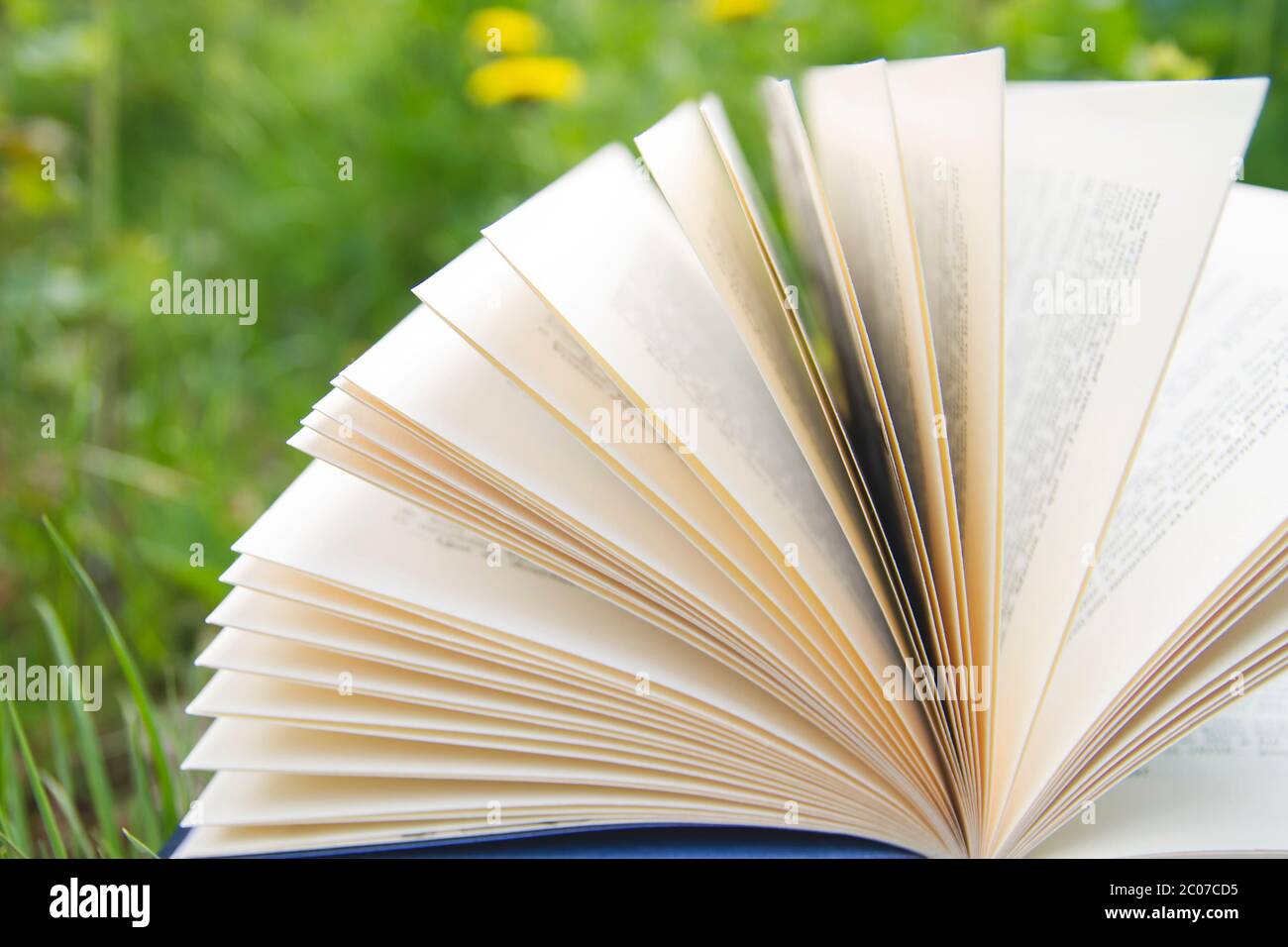 Pages of an open book Stock Photo - Alamy