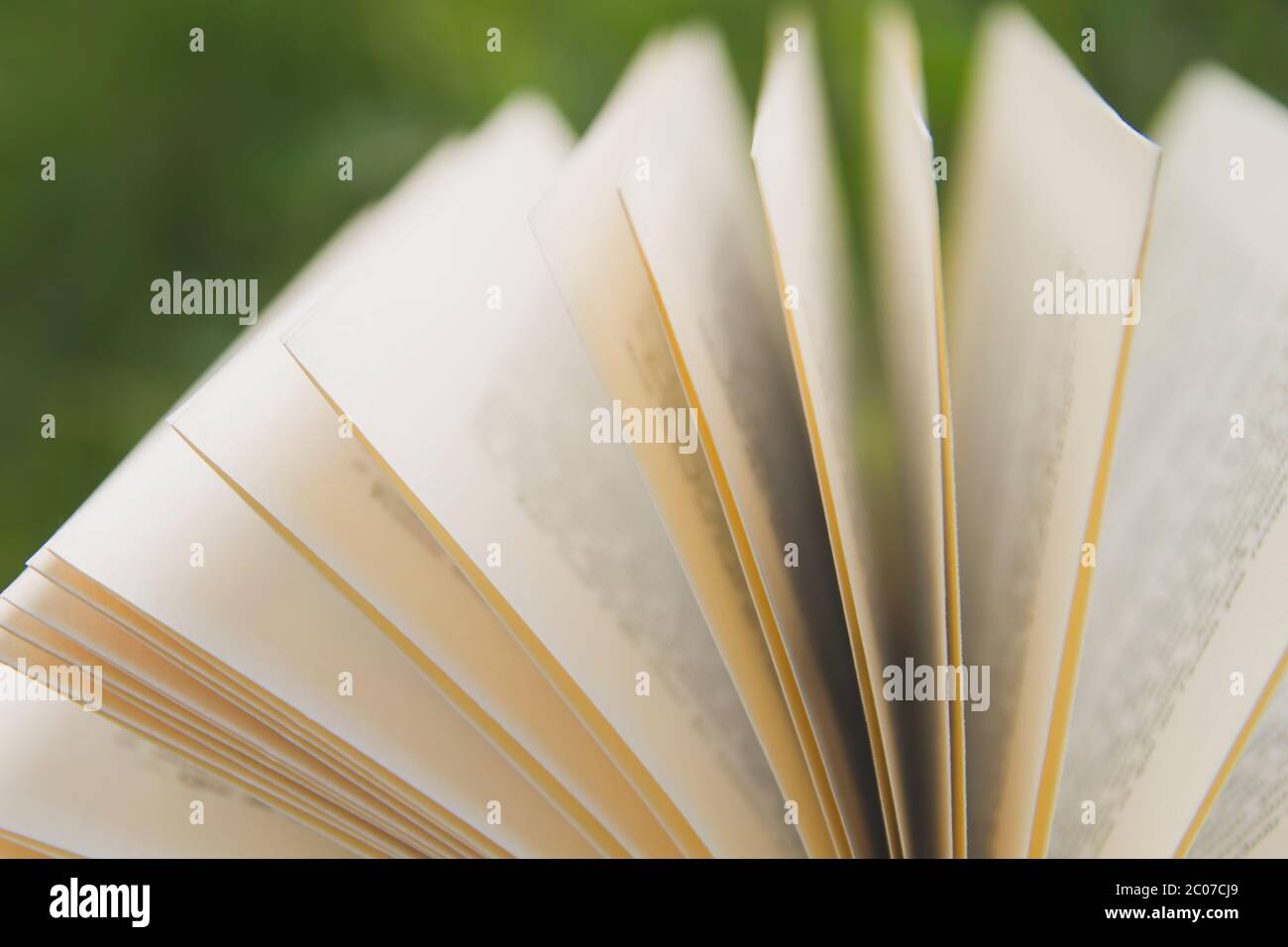 Pages of an open book Stock Photo - Alamy