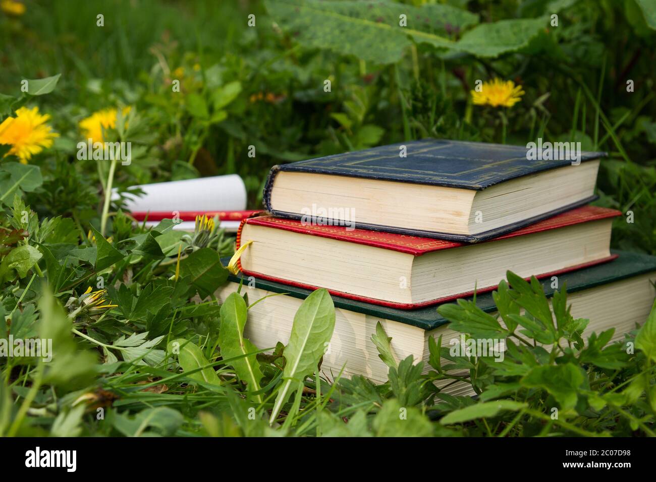 Notepad, pencil and old books on the green grass Stock Photo - Alamy