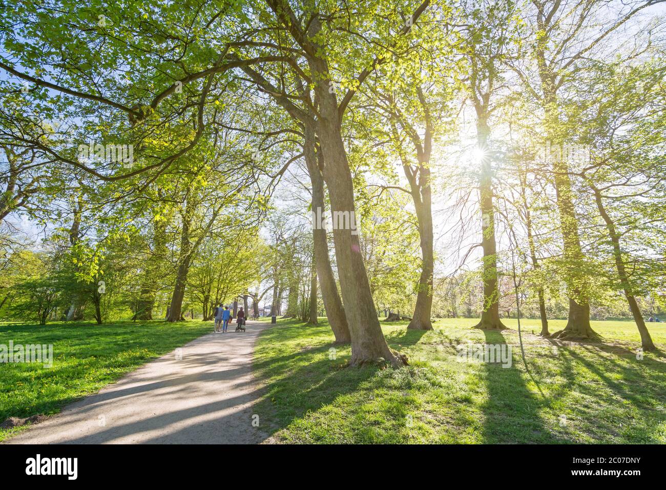 Strolling on a park hi-res stock photography and images - Alamy