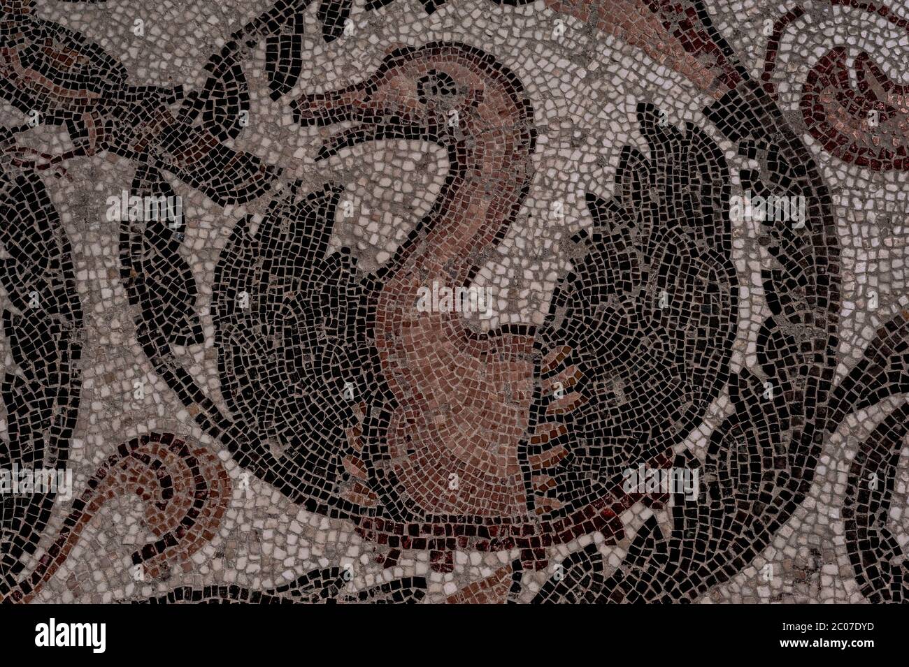 Roman Bird Mosaic High Resolution Stock Photography and Images - Alamy