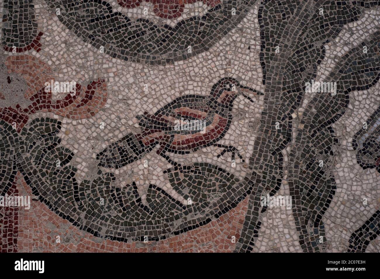 Small bird with red plumage walks amid garlands of acanthus leaves ...