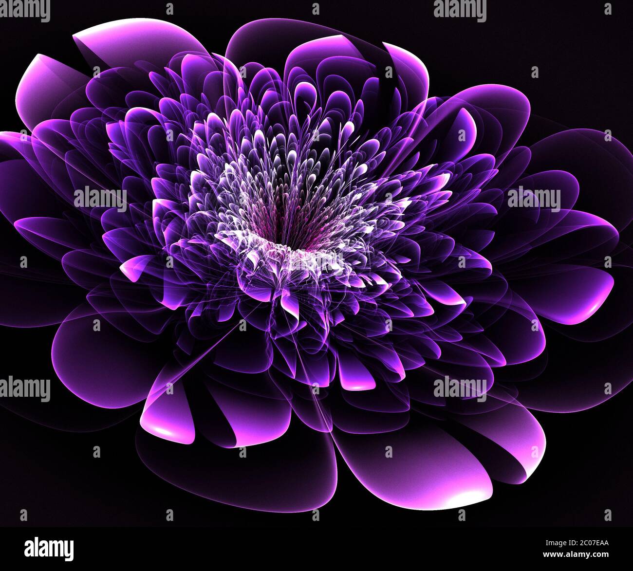 Beautiful Purple Desktop Wallpaper