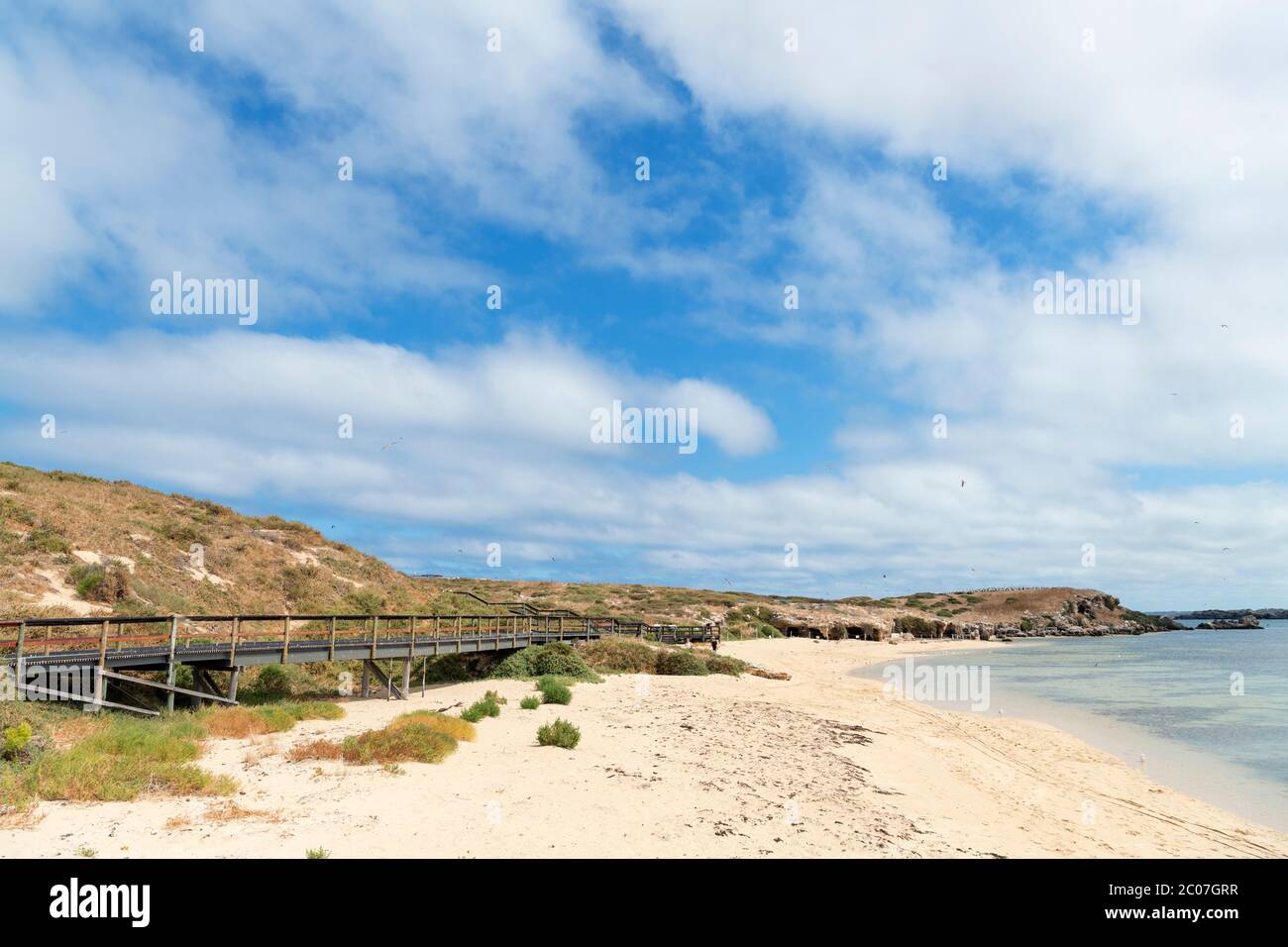 Beach on Penguin Island, Rockingham, Western Australia, Australia Stock ...