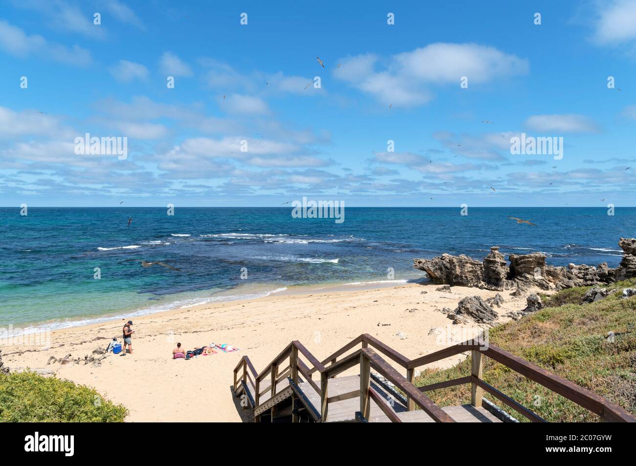 Beach on Penguin Island, Rockingham, Western Australia, Australia Stock ...