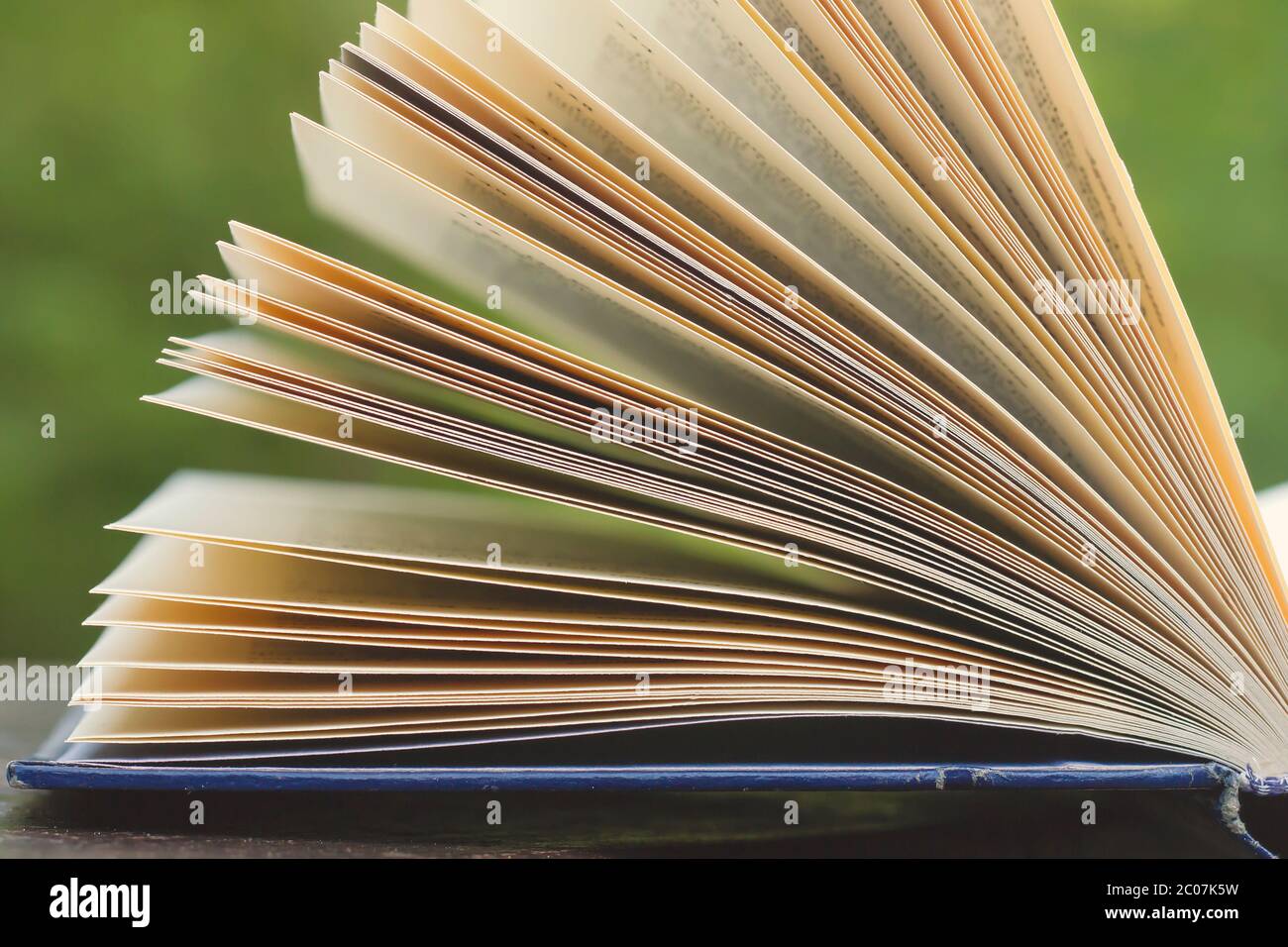 Pages of an open book Stock Photo - Alamy