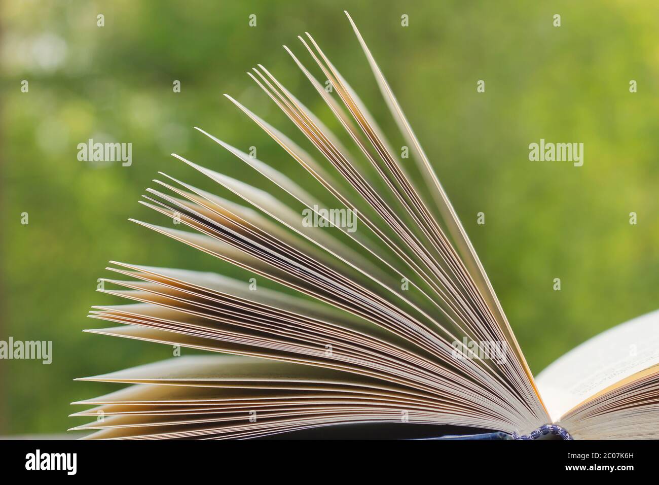 Pages of an open book Stock Photo - Alamy