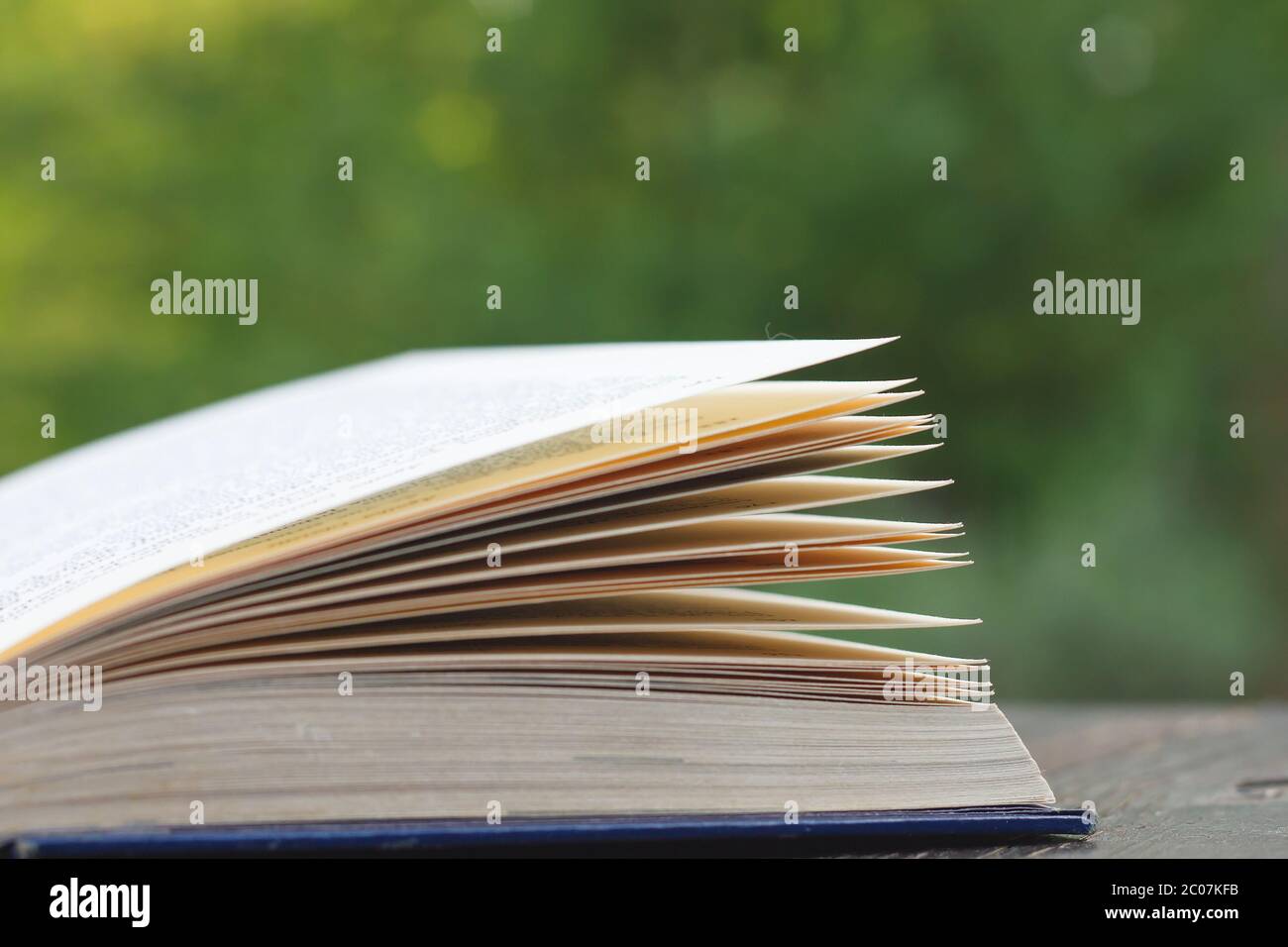 Pages of an open book Stock Photo - Alamy