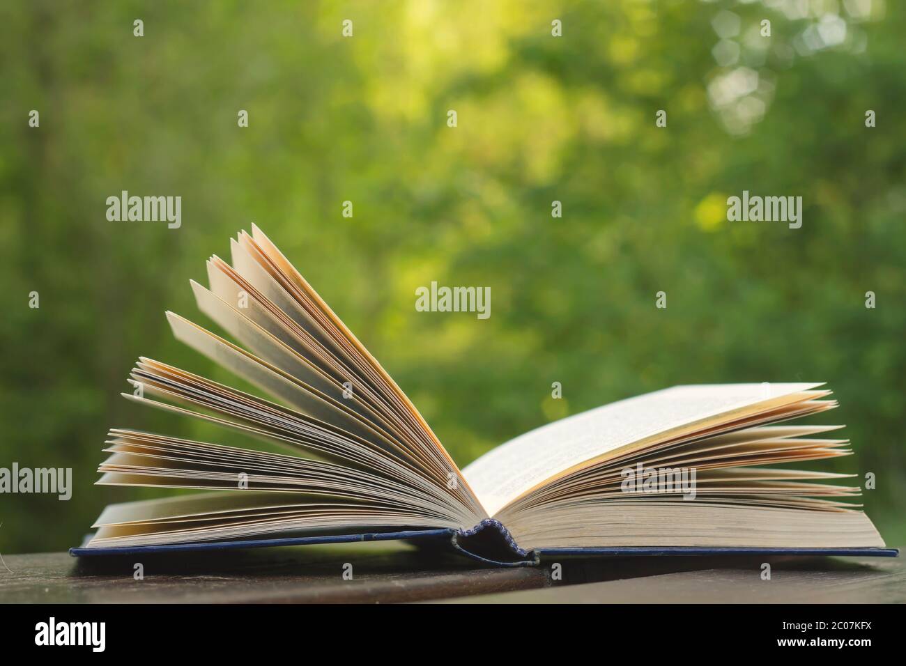 Pages of an open book Stock Photo - Alamy