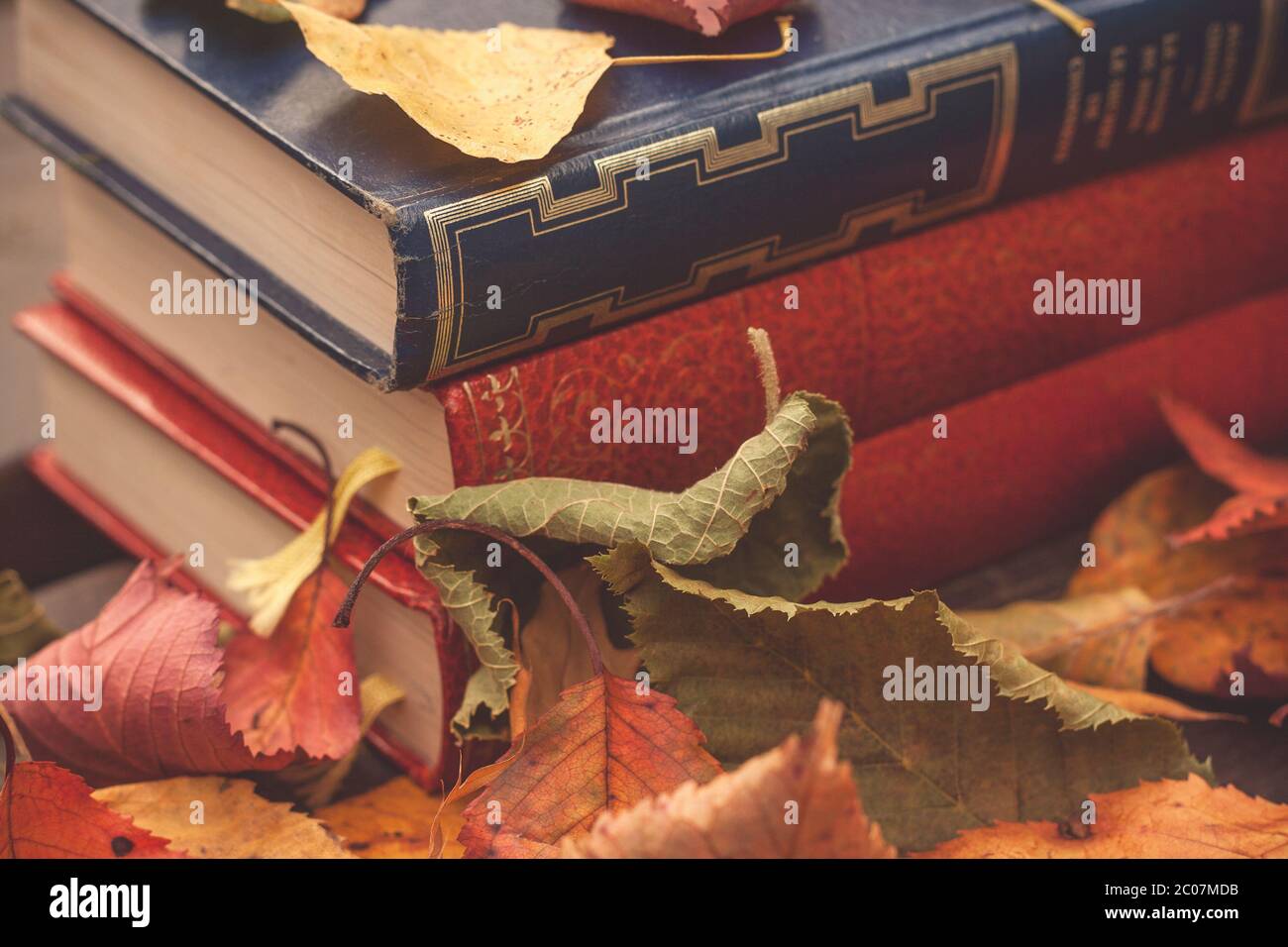 Old books and colorful autumnal fallen leaves Stock Photo - Alamy