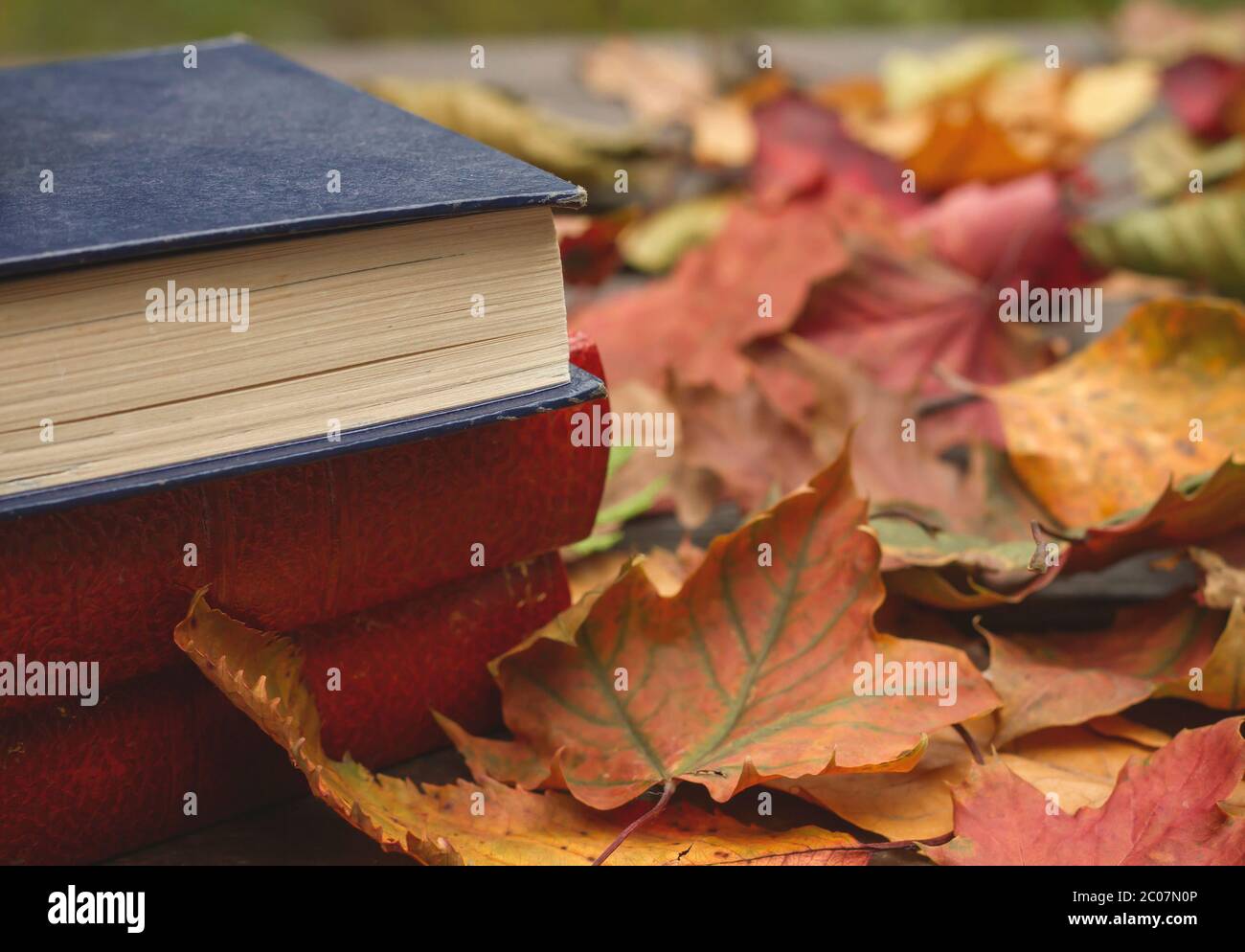 Old books and colorful autumnal fallen leaves Stock Photo - Alamy