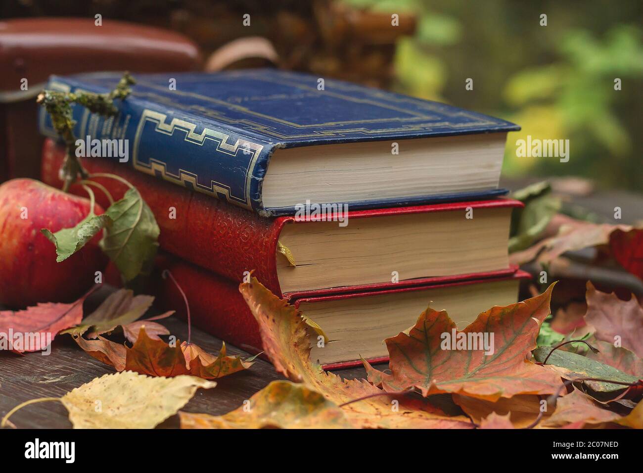 Antique books leaves hi-res stock photography and images - Alamy