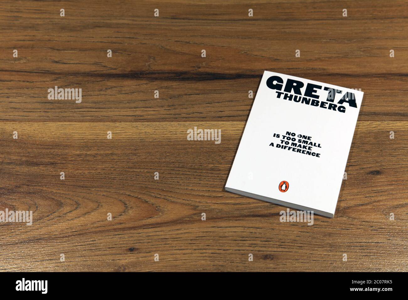 Greta Thunberg book, No one is too small to make a difference paperback ...