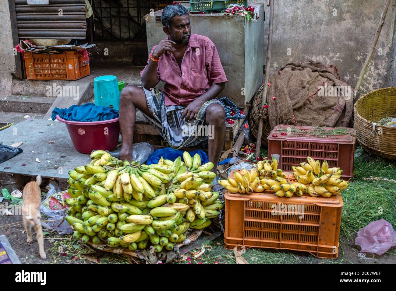 Chennai, Tamil Nadu, India - August 2018: An Indian man selling bananas on the street at the ...