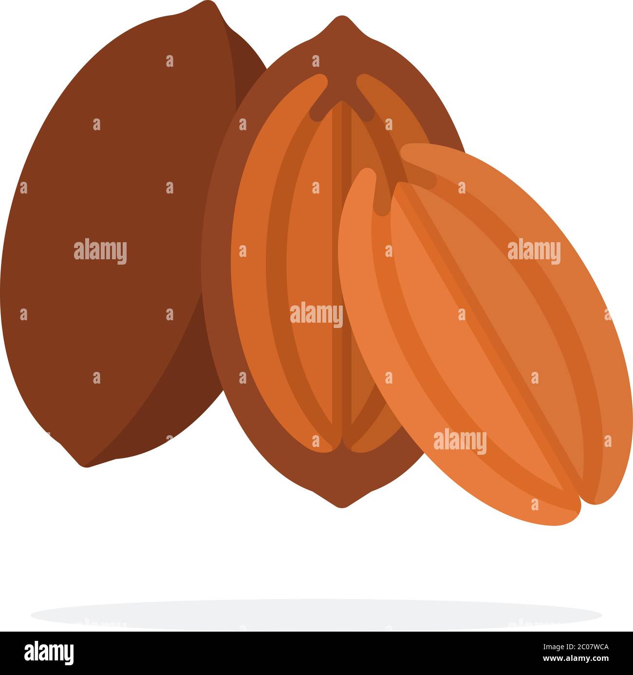 Pecan in the shell, half pecan and the kernel of the pecan flat ...