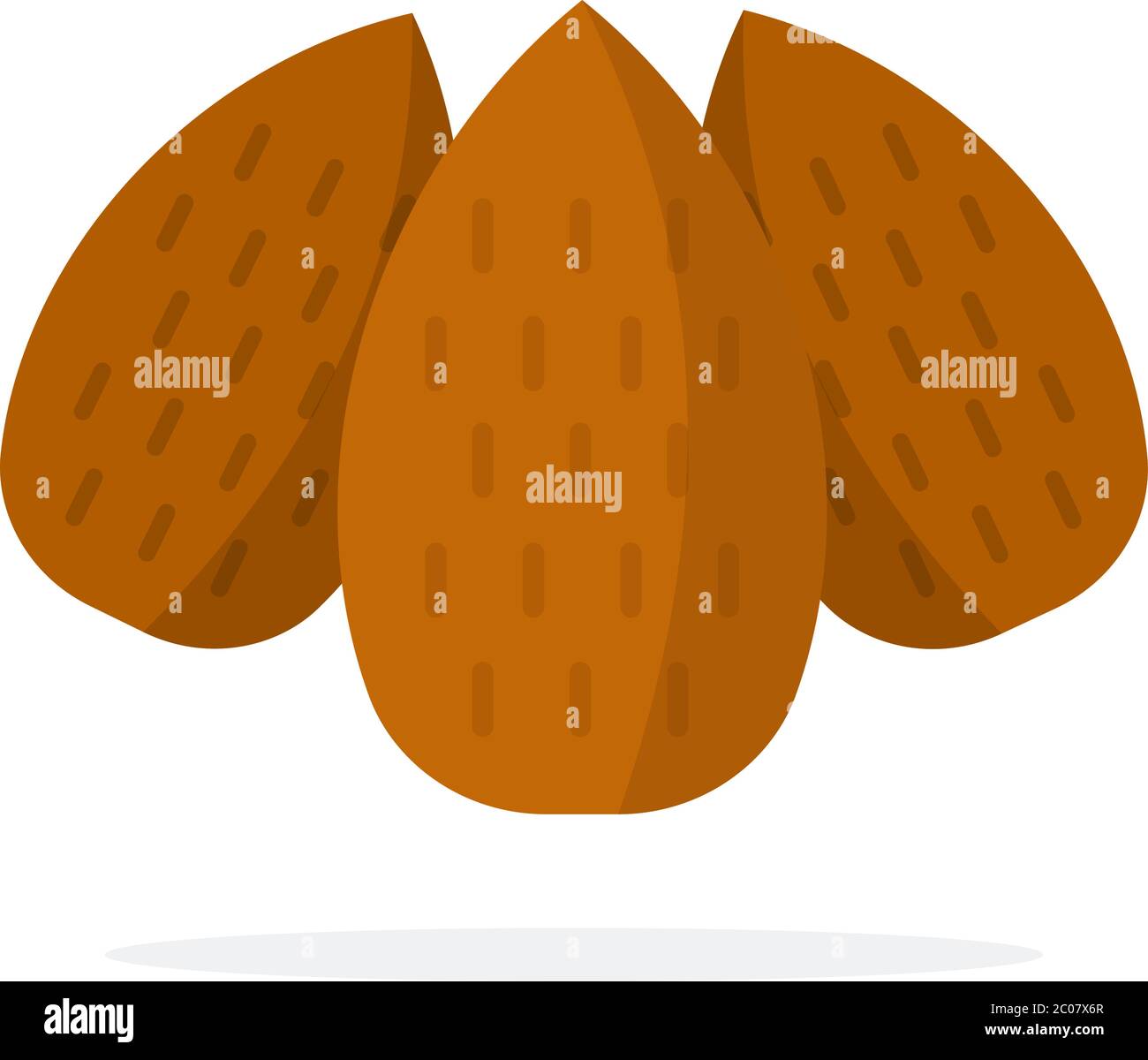 Three almond nuts in a shell vector flat isolated Stock Vector Image ...