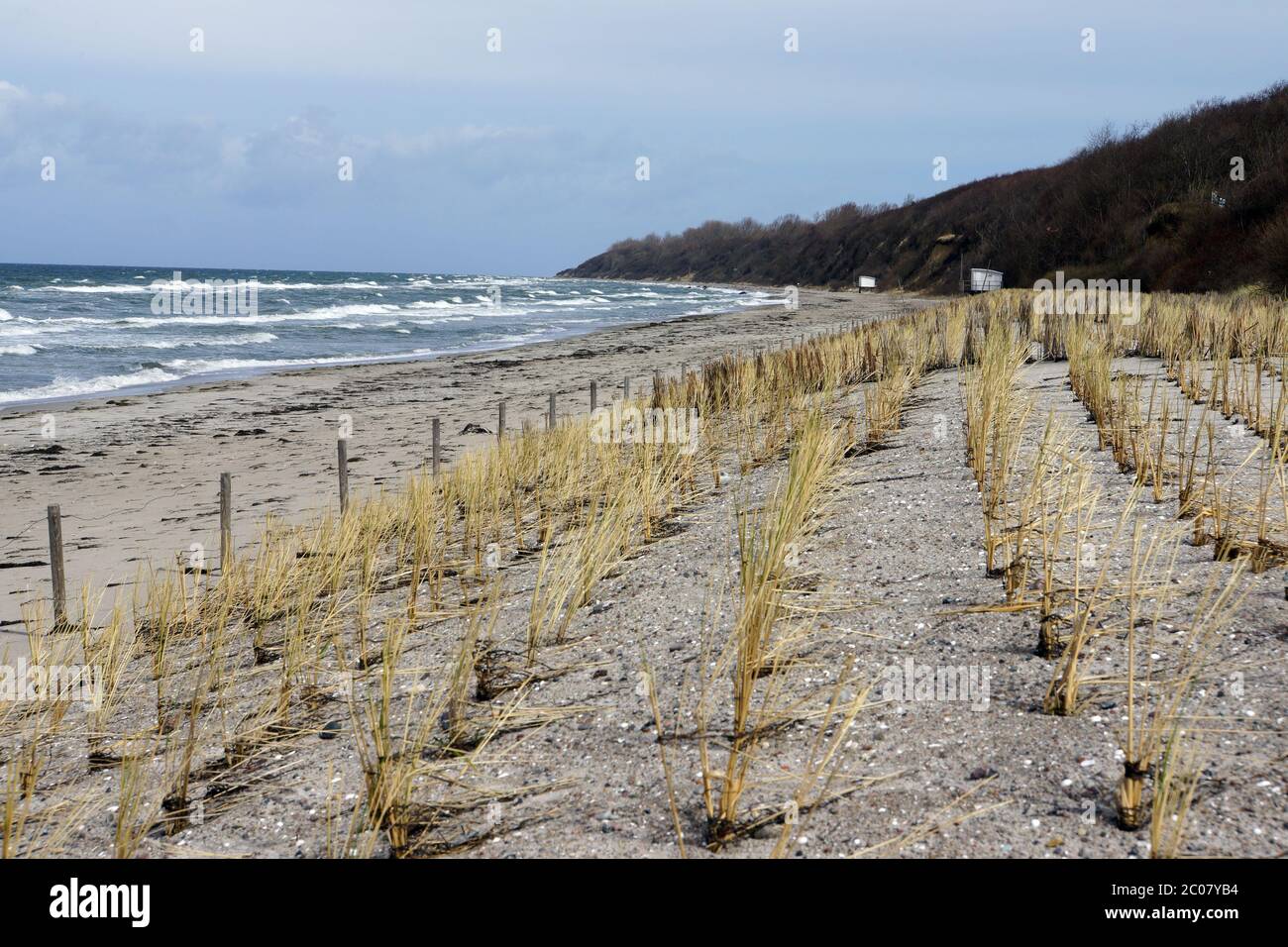 Coastal protection through dike planting Stock Photo - Alamy