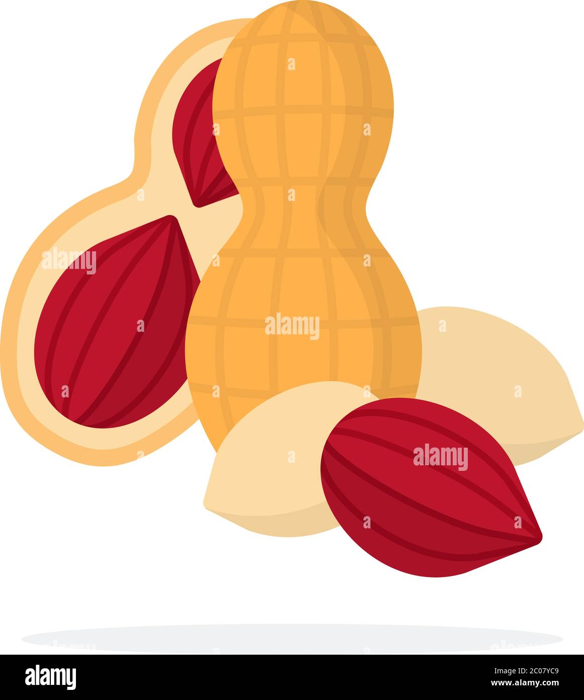 A whole peanut nut, half peanuts and peanuts peeled flat isolated Stock ...