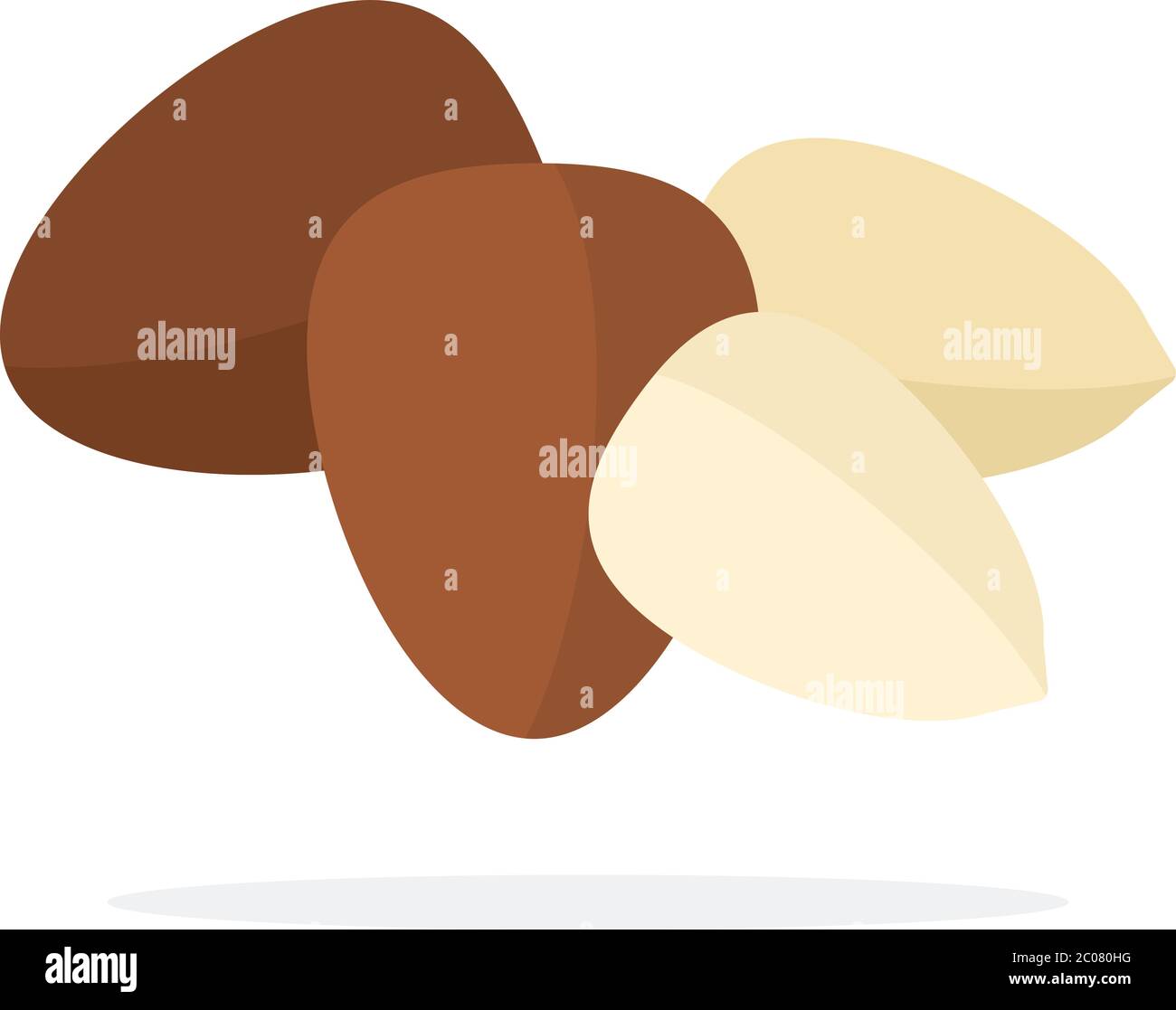 Pine peeled Stock Vector Images - Alamy