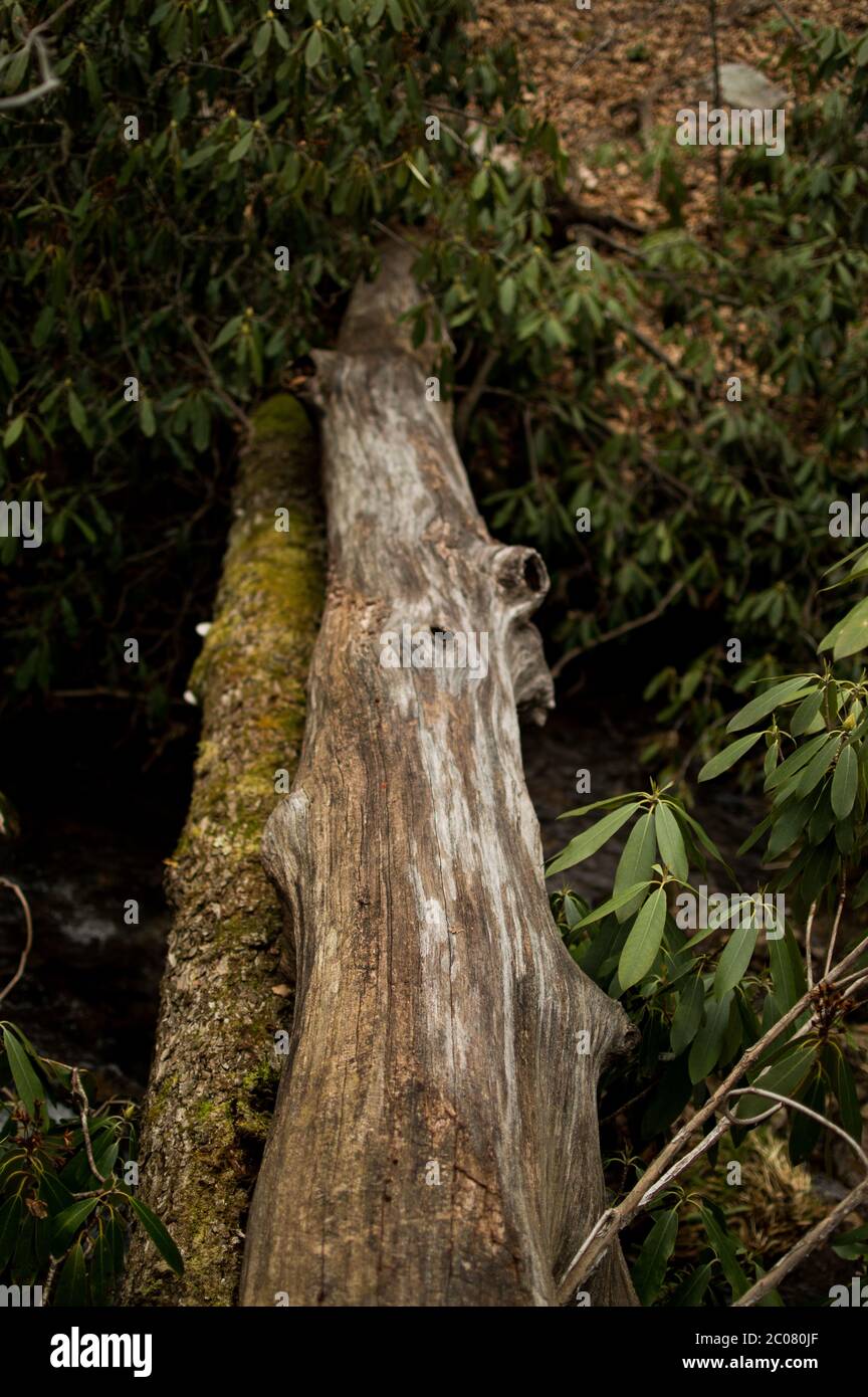Natural log bridge hi-res stock photography and images - Alamy