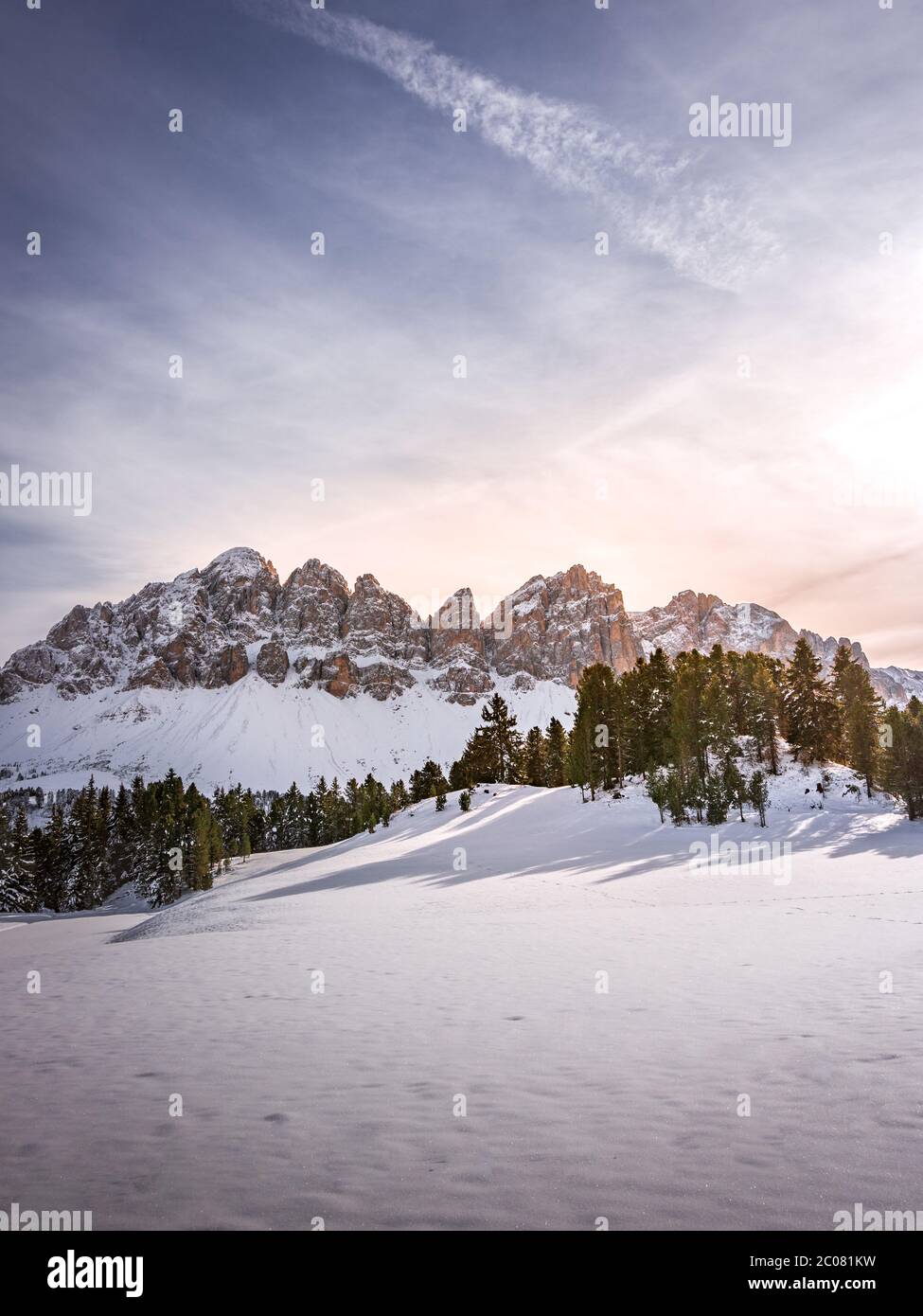 Winter ecosystem hi-res stock photography and images - Alamy