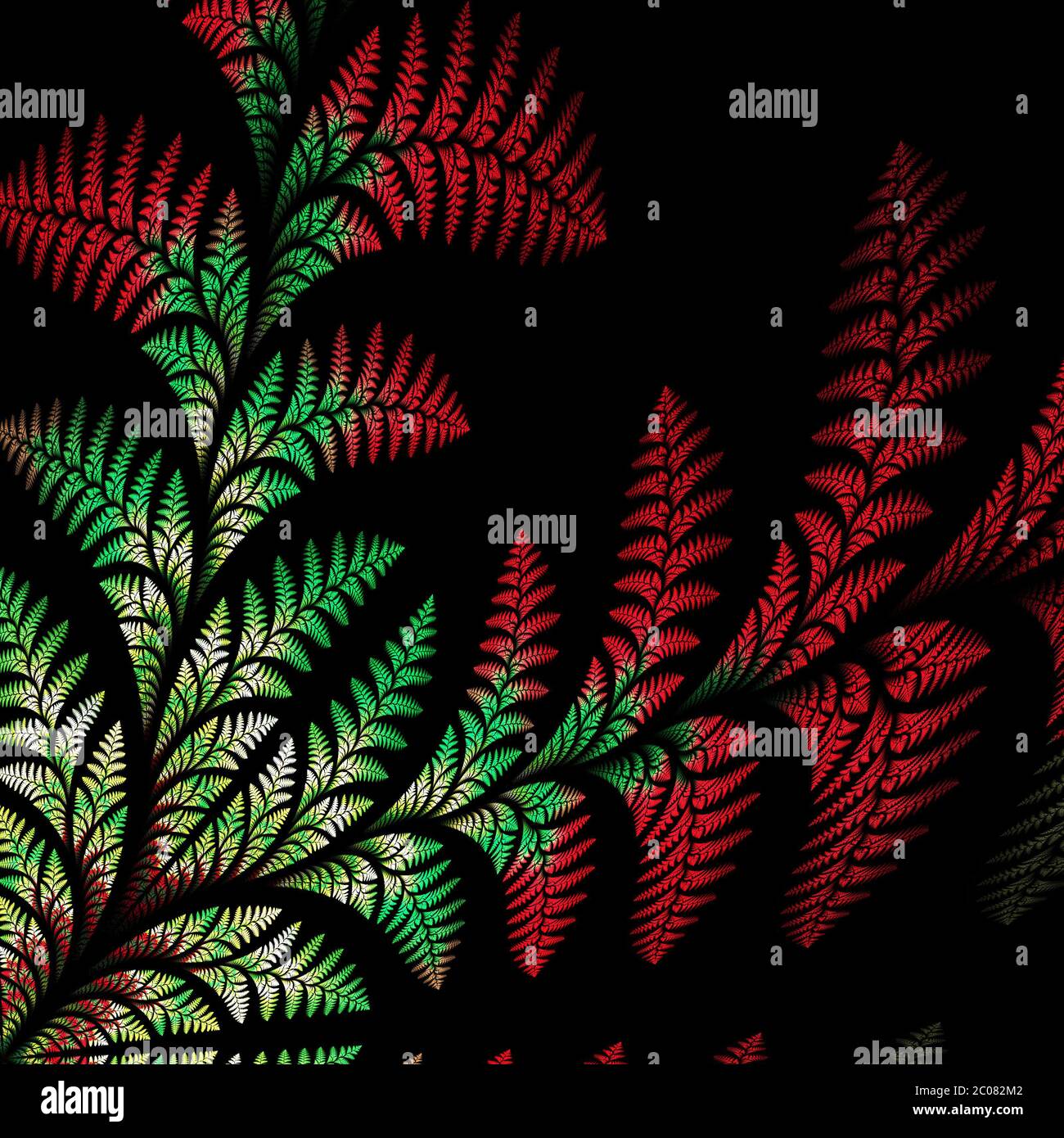 Asymmetrical pattern of the leaves in red and green. On black ...