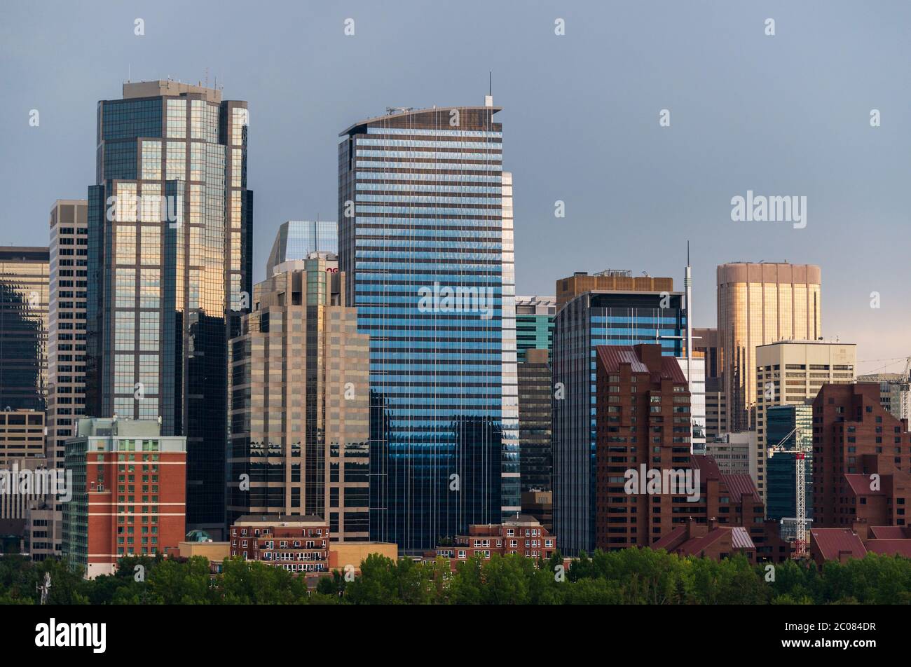 calgary skyline view from the Bow Riverbanks, Alberta, Canada Stock ...