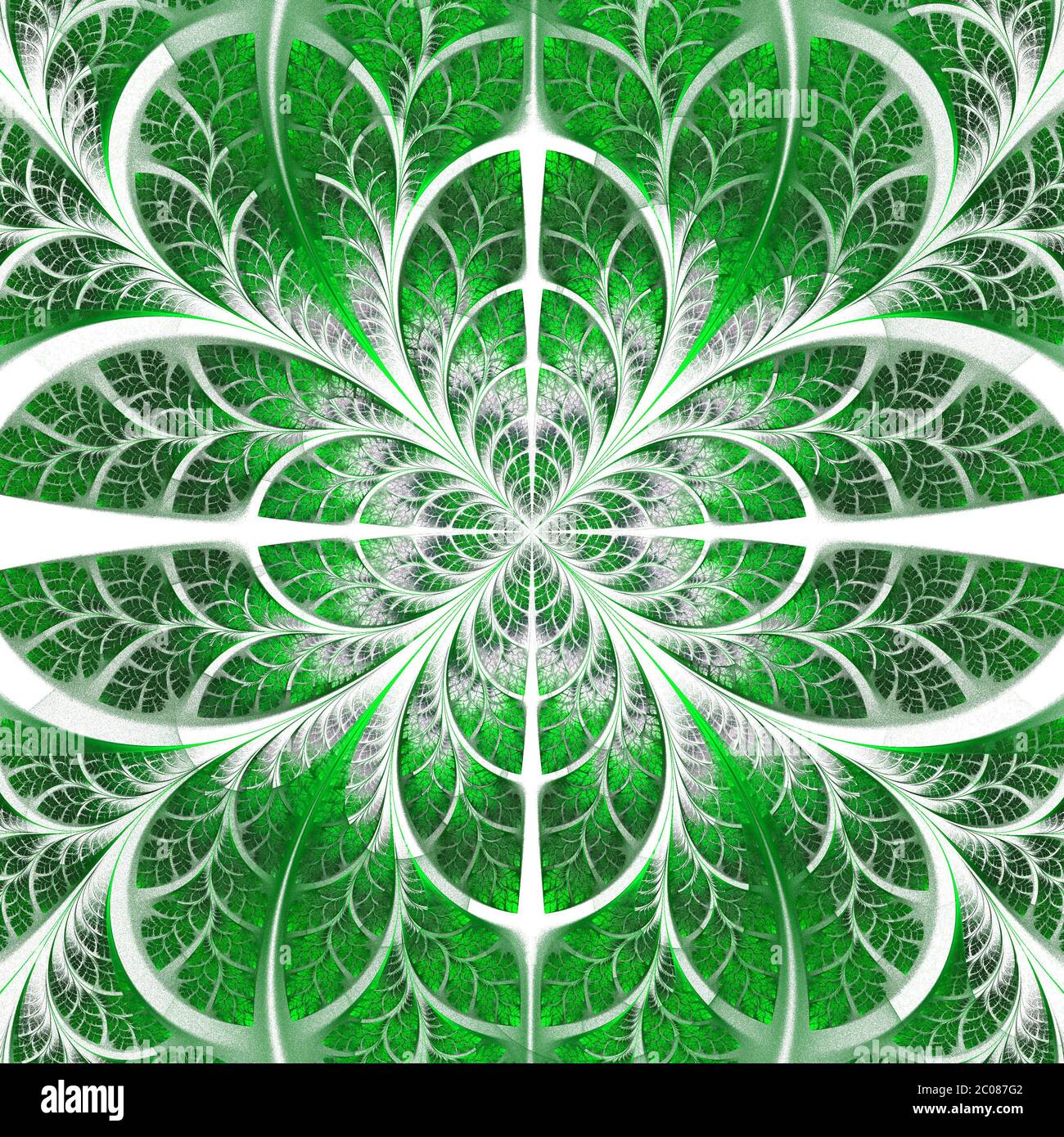 Symmetrical pattern of the leaves in green and white. Collection - tree ...