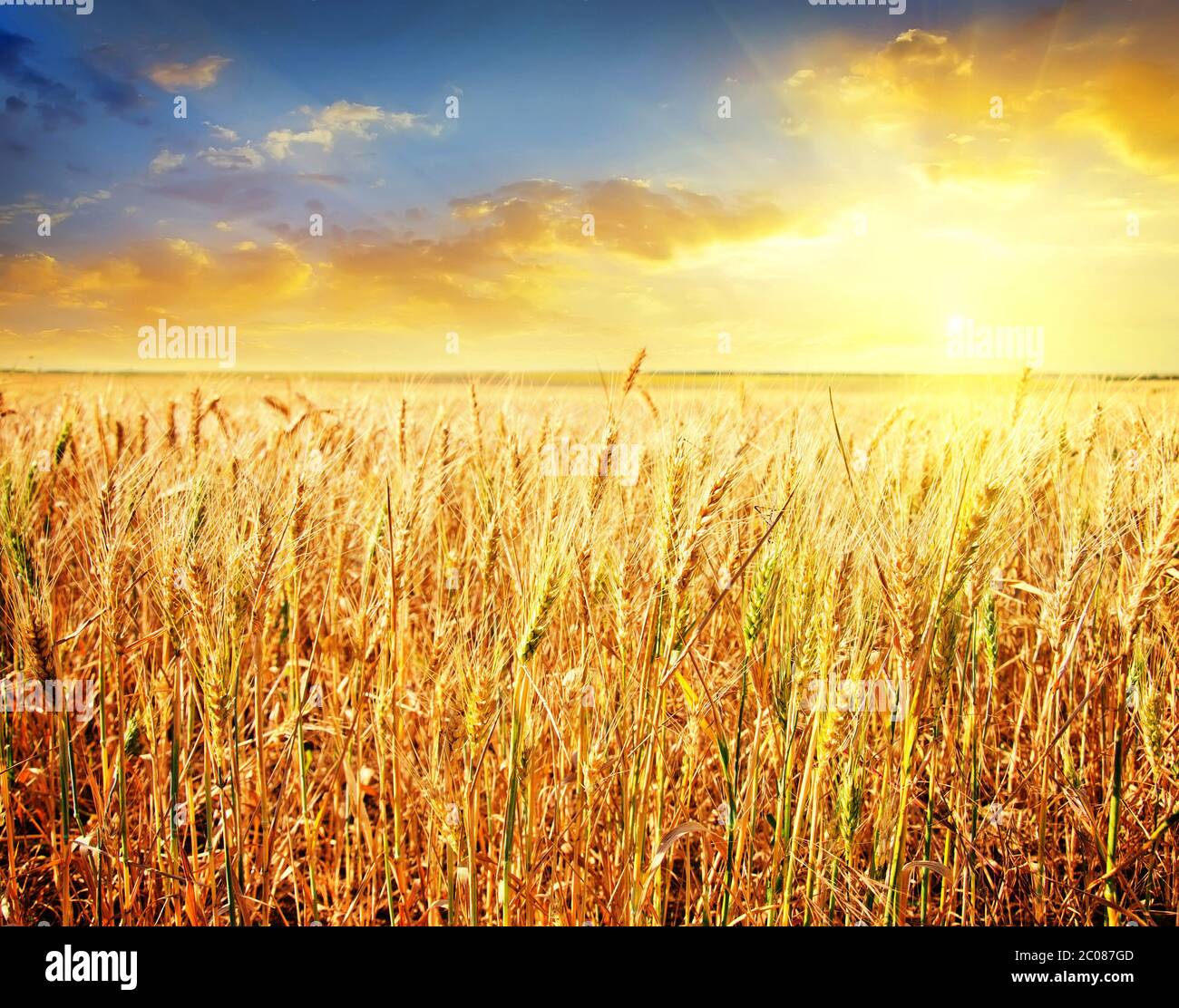 Solar coll hi-res stock photography and images - Alamy