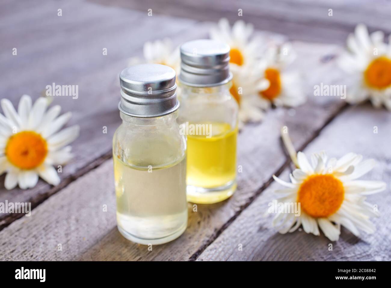 Camomille oil hi-res stock photography and images - Alamy