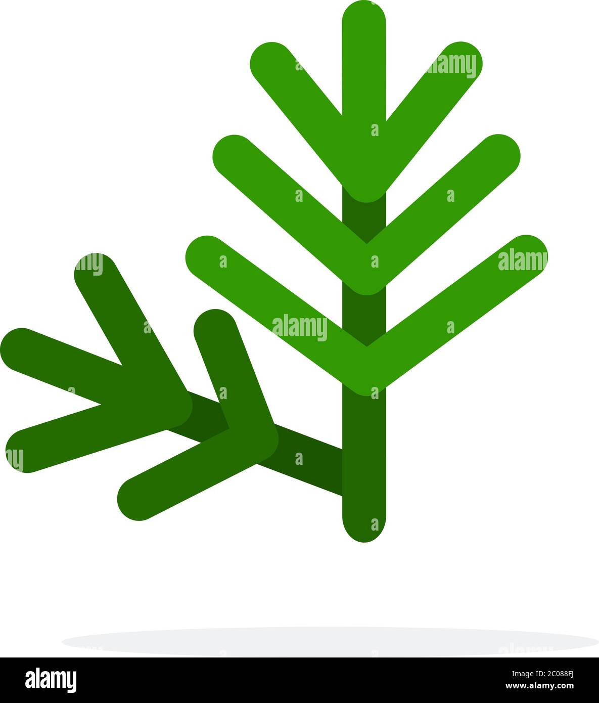 Sprig of dill vector flat isolated Stock Vector Image & Art - Alamy