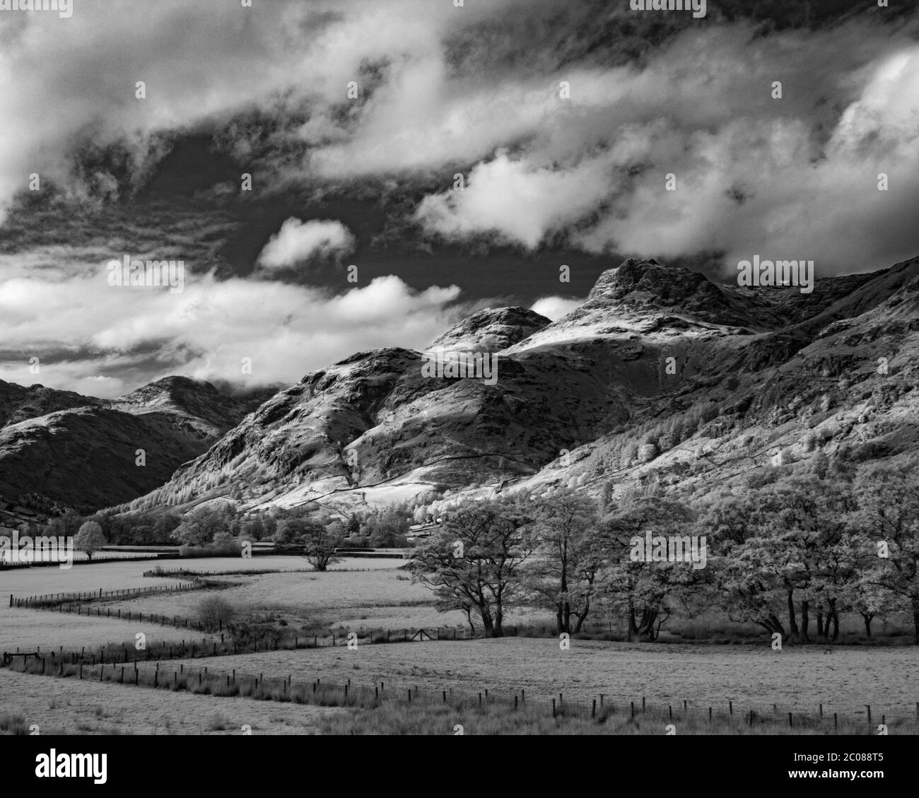 Ir bnw hi-res stock photography and images - Alamy