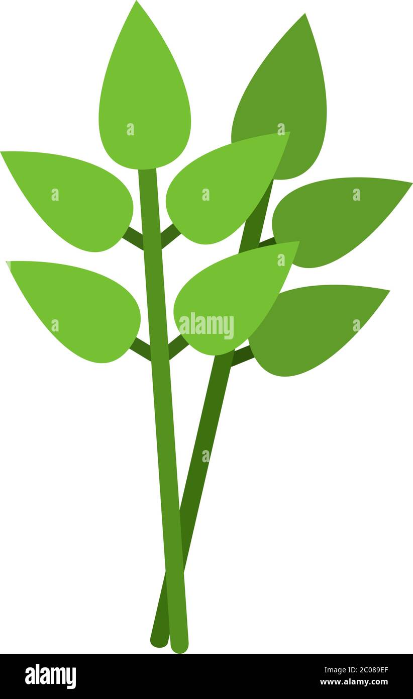 Whole bay leaf Stock Vector Images - Alamy